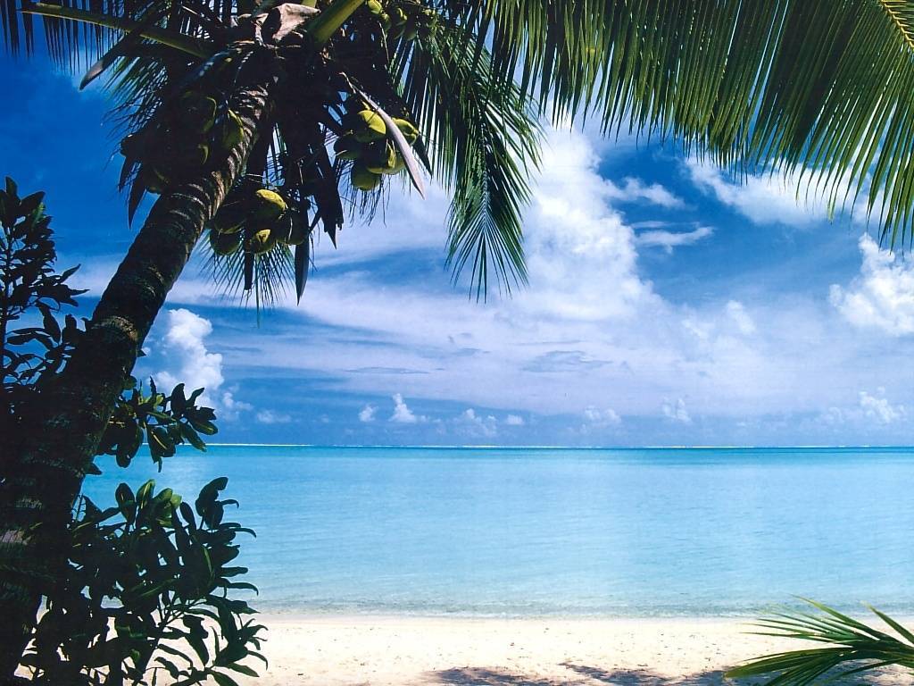 Caribbean Scenery Wallpapers - Top Free Caribbean Scenery Backgrounds ...