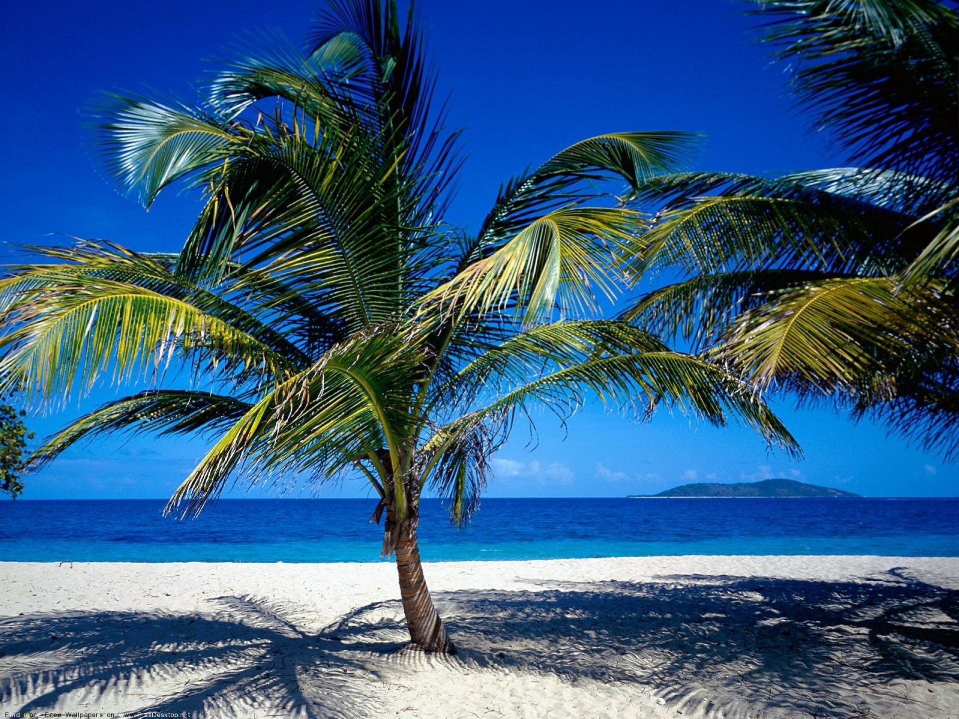 Caribbean Scenery Wallpapers - Top Free Caribbean Scenery Backgrounds ...