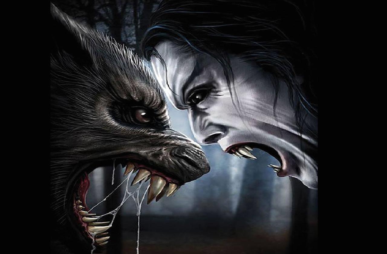 Werewolf 4K Wallpapers - Top Free Werewolf 4K Backgrounds - WallpaperAccess