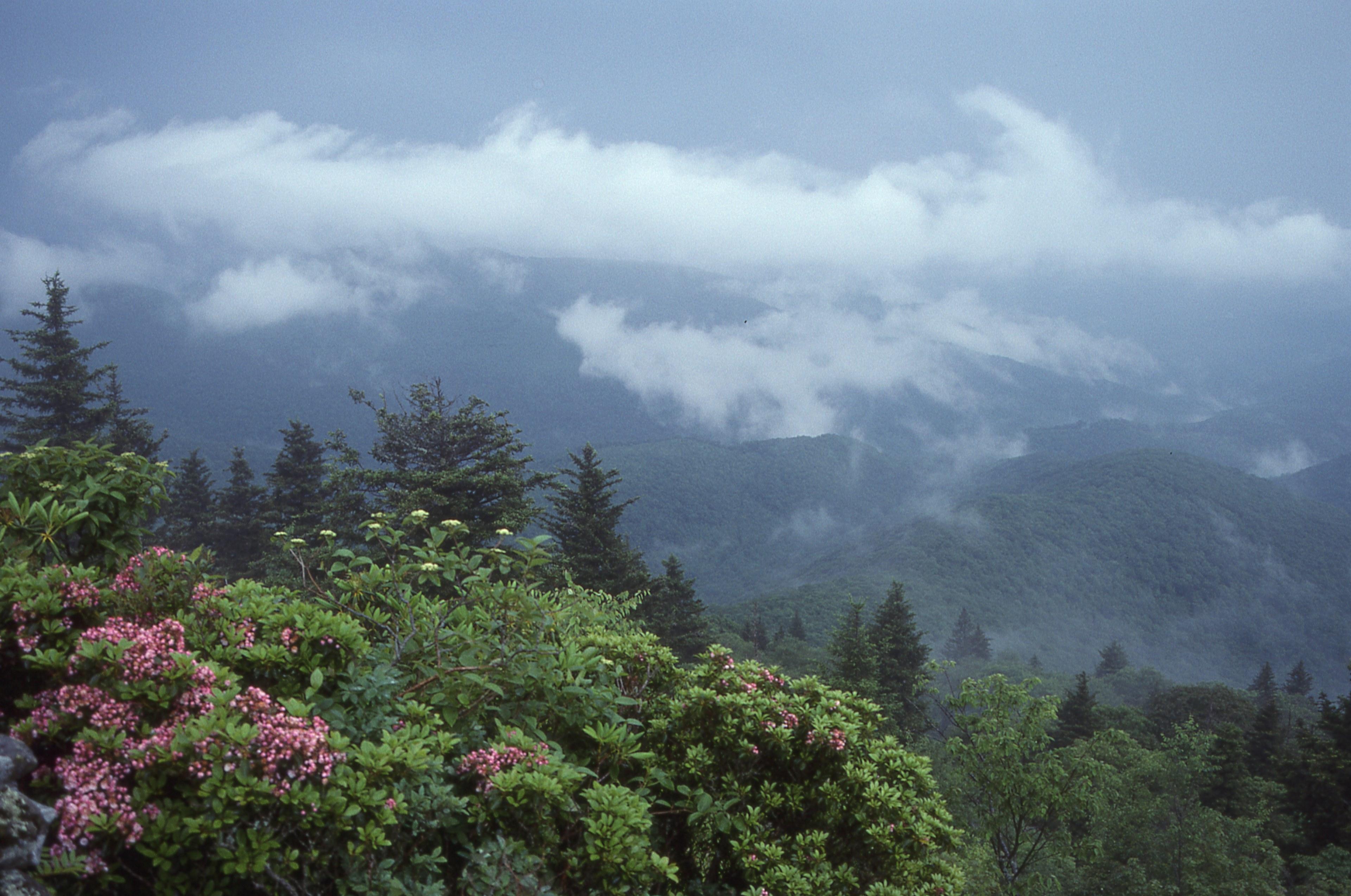 Smoky Mountains 4K Wallpapers - Top Free Smoky Mountains 4K Backgrounds ...