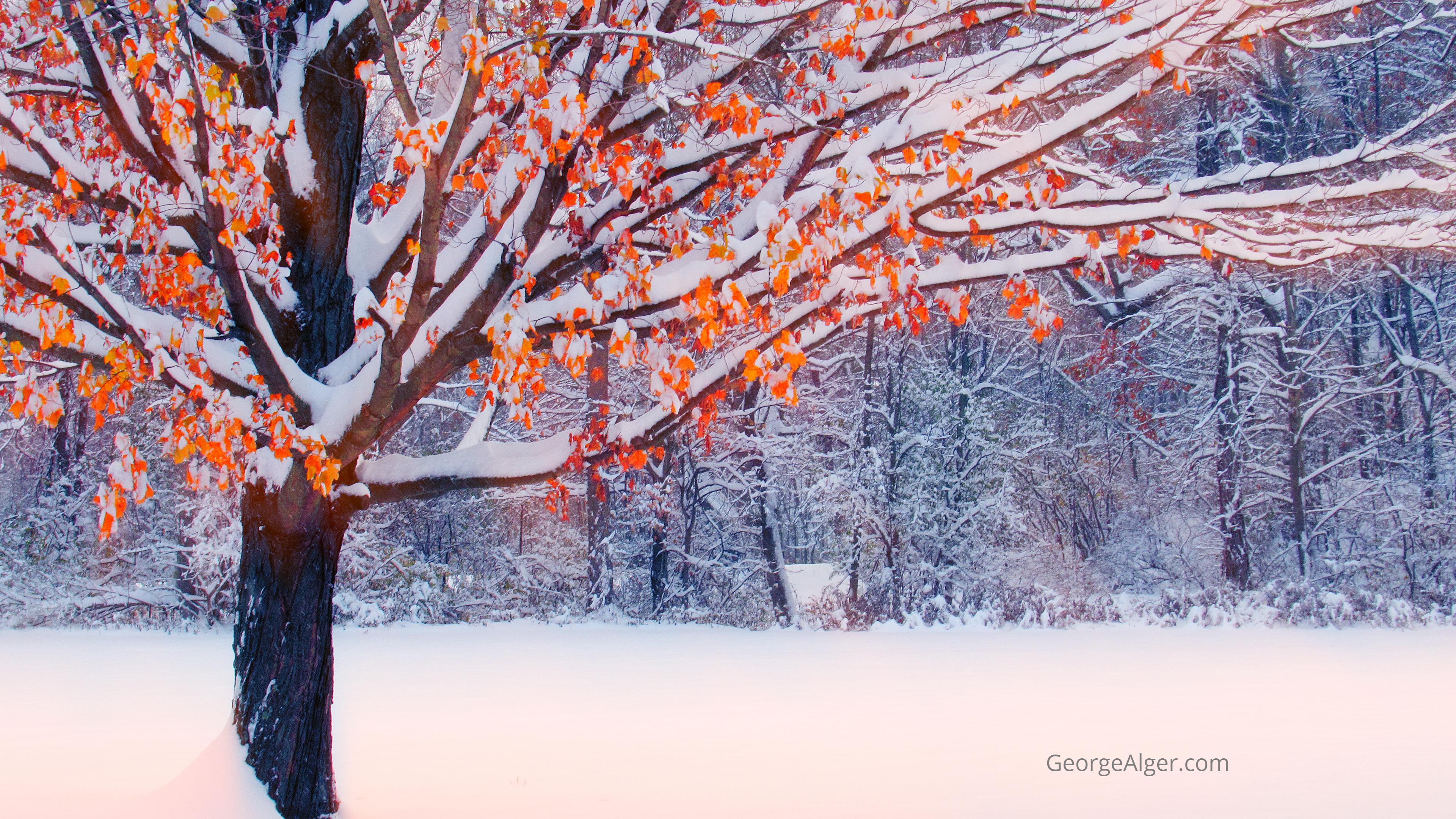 Early Winter Wallpapers - Top Free Early Winter Backgrounds ...