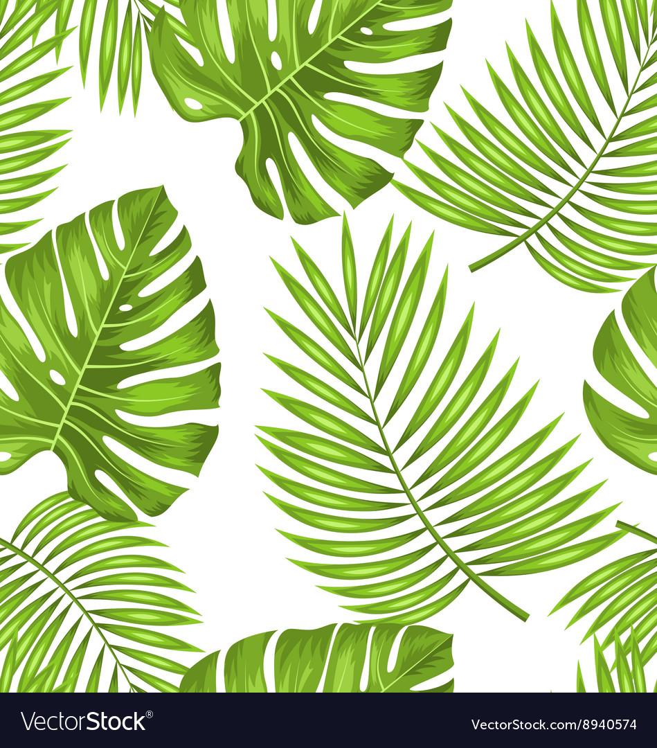 Tropical Vector Wallpapers - Top Free Tropical Vector Backgrounds ...
