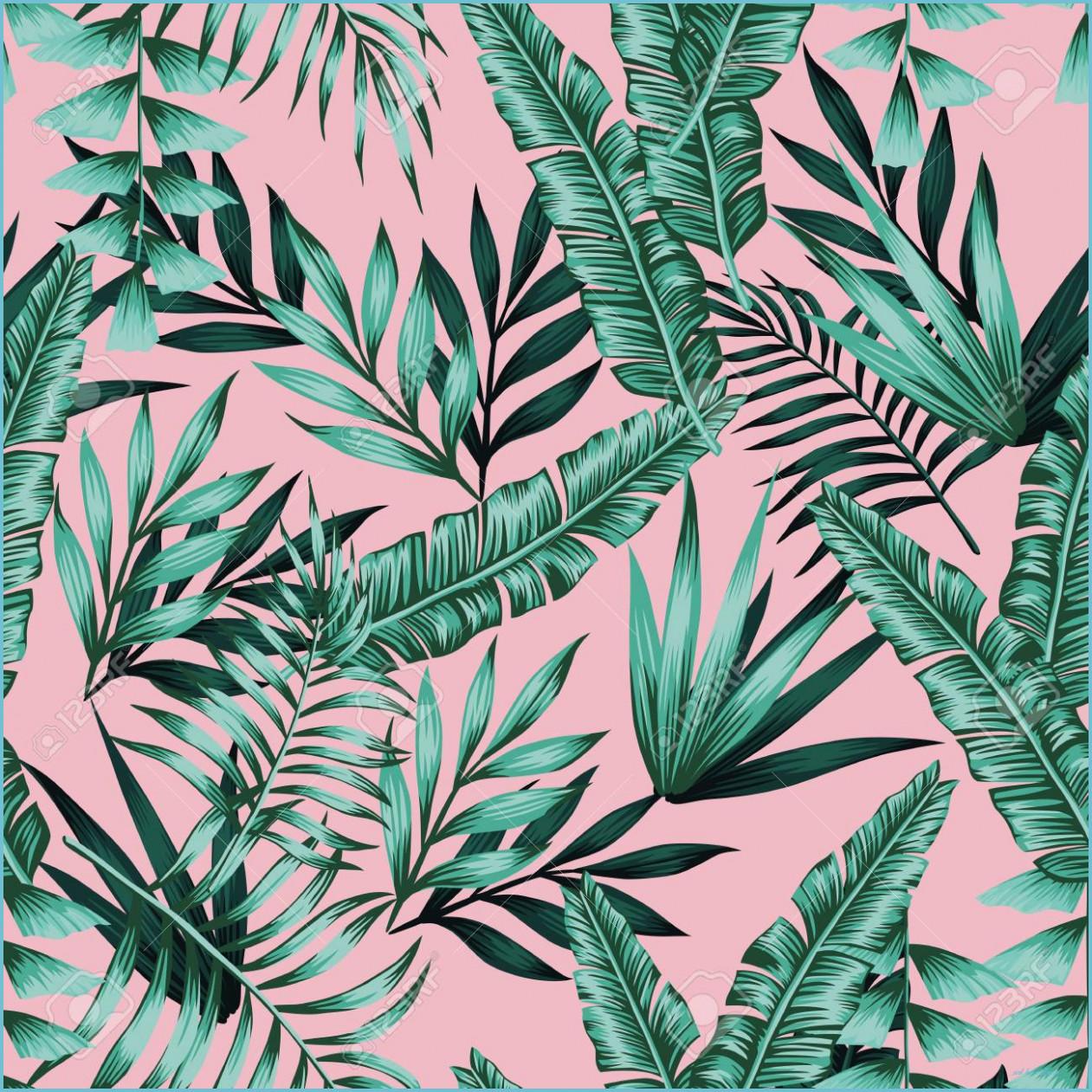 Tropical Vector Wallpapers - Top Free Tropical Vector Backgrounds ...