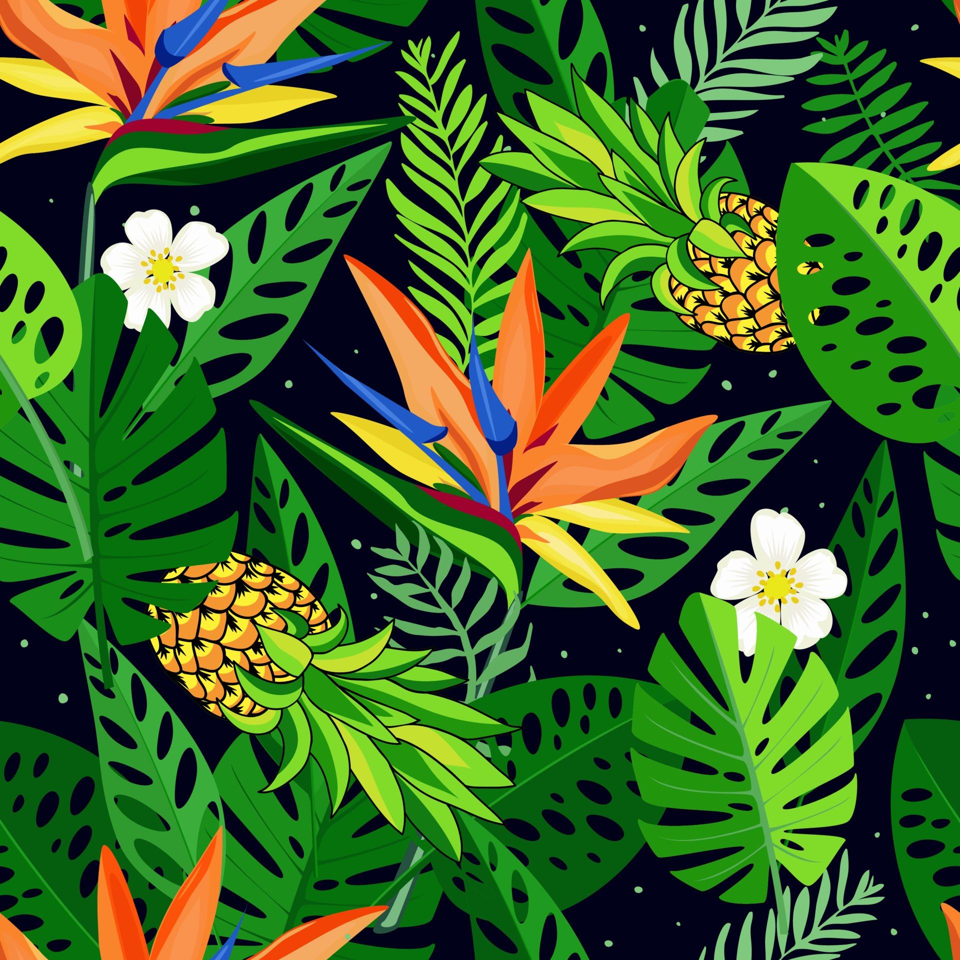 Tropical Vector Wallpapers - Top Free Tropical Vector Backgrounds ...
