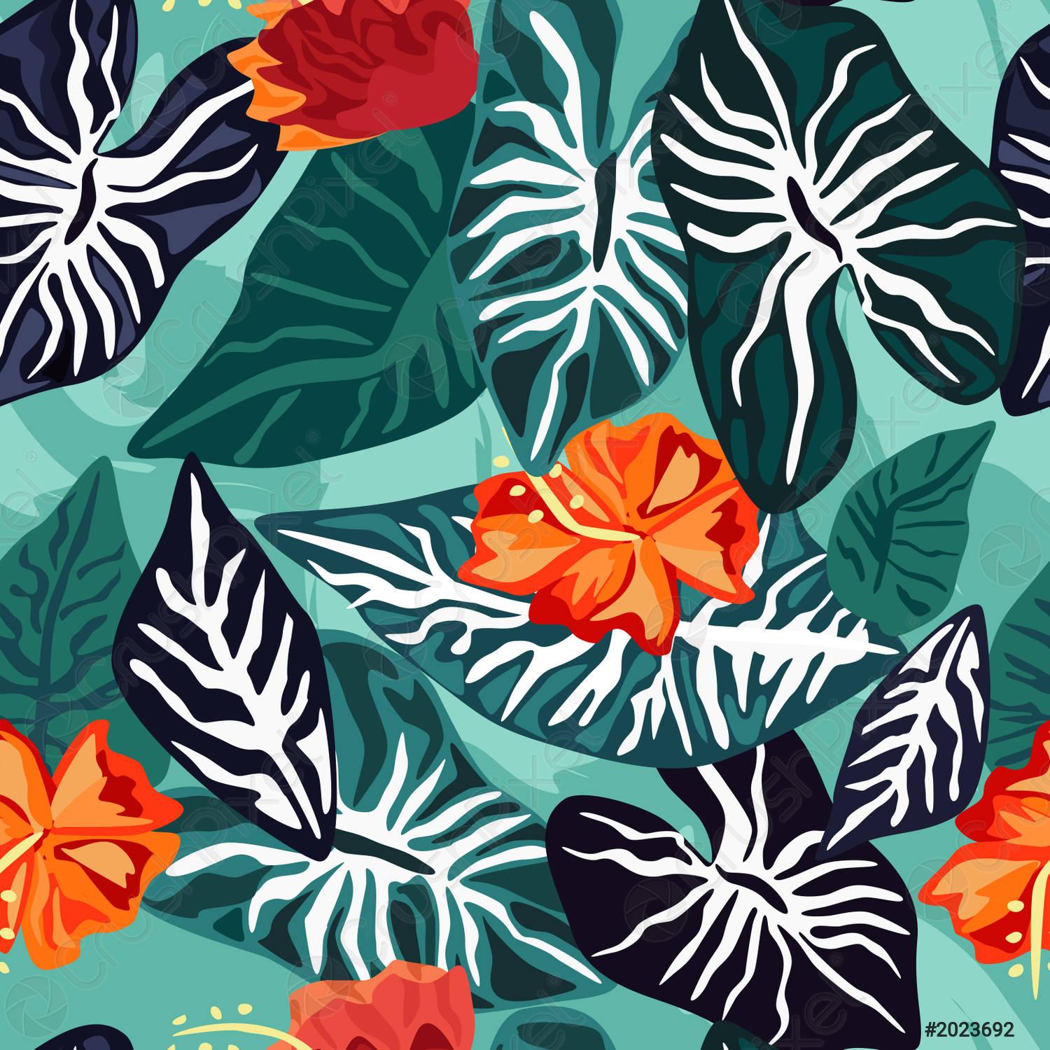 Tropical Vector Wallpapers - Top Free Tropical Vector Backgrounds ...