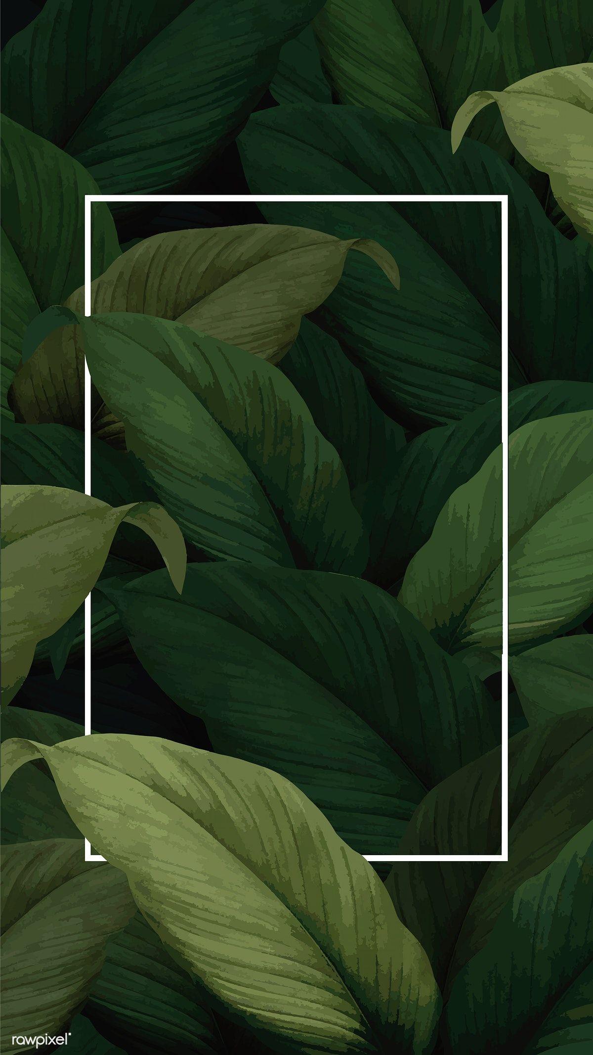 Tropical Vector Wallpapers - Top Free Tropical Vector Backgrounds ...
