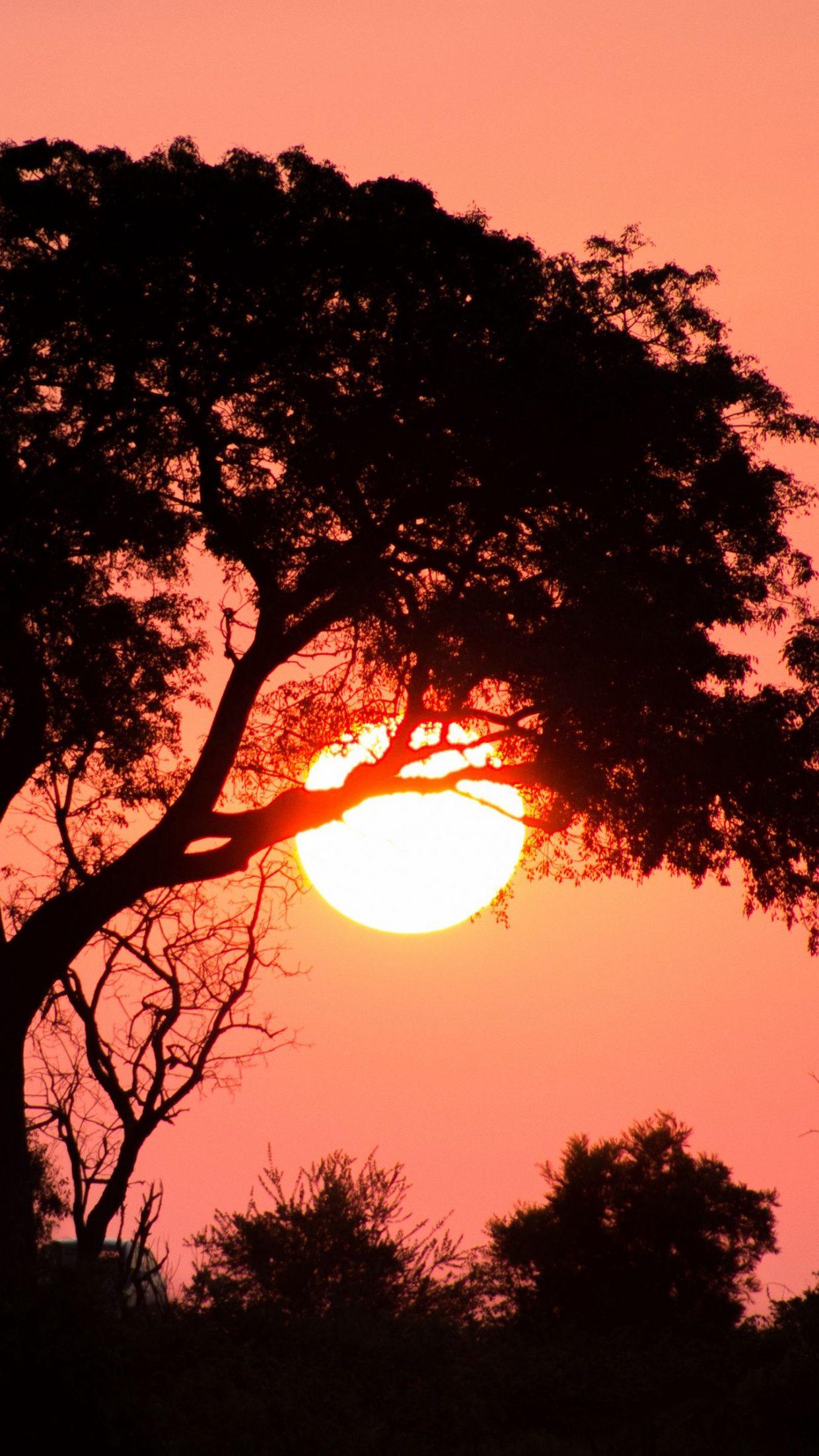 Dark Sunset Phone Wallpapers - Top Free Dark Sunset Phone Backgrounds ...