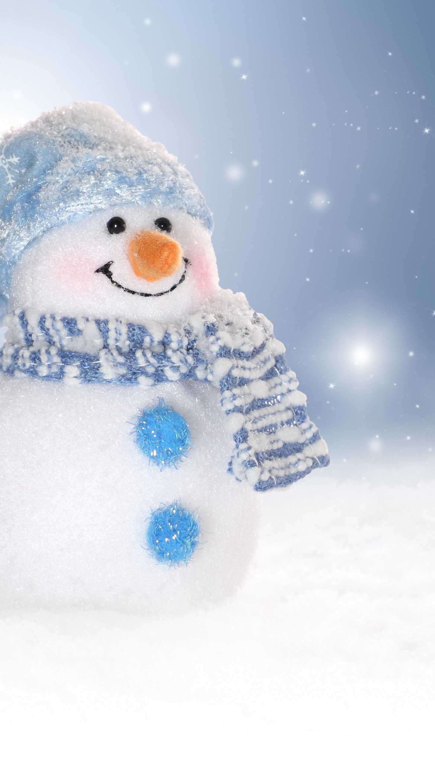 Real Snowman Wallpapers - Top Free Real Snowman Backgrounds ...