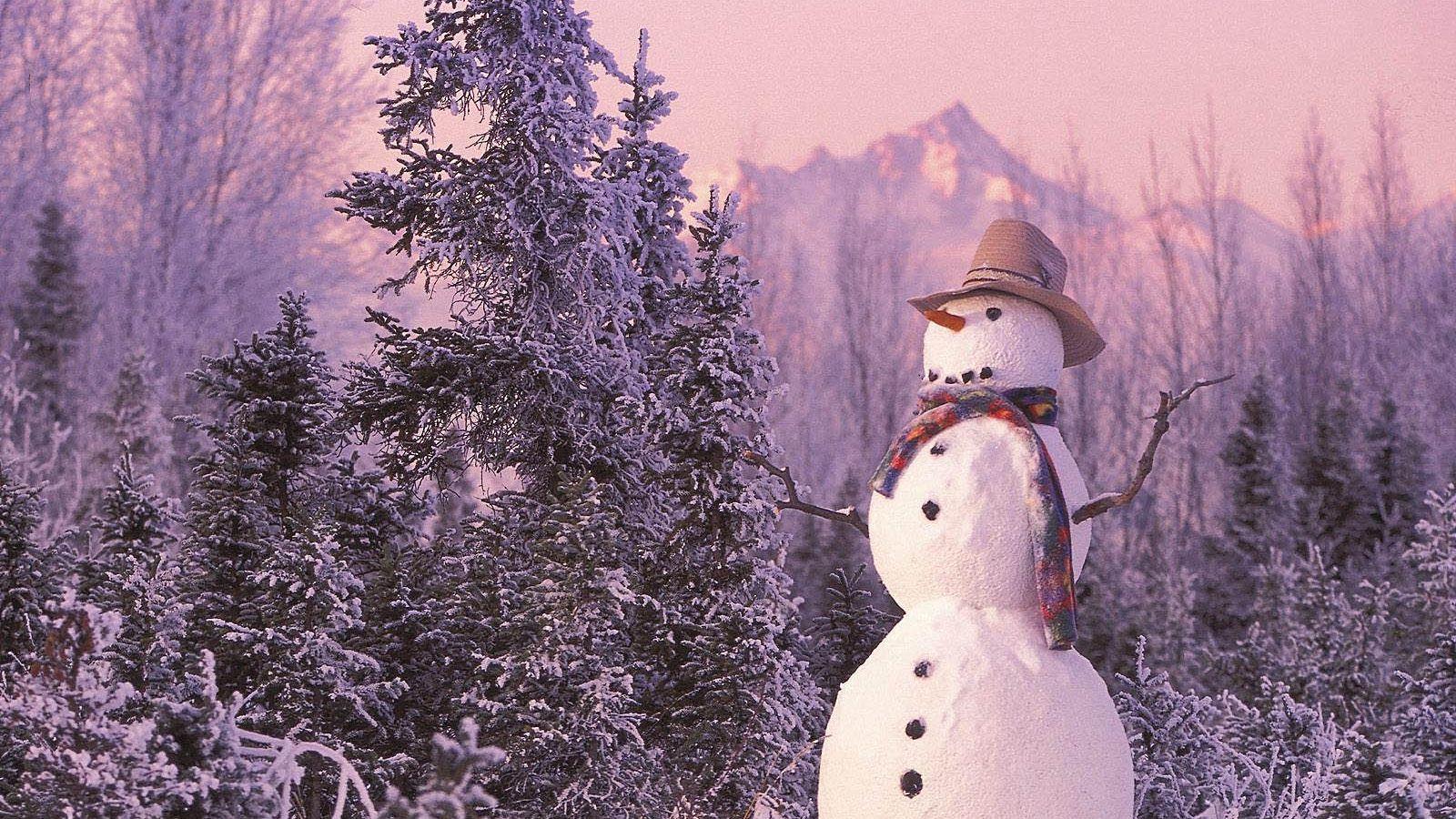 Real Snowman Wallpapers - Top Free Real Snowman Backgrounds ...