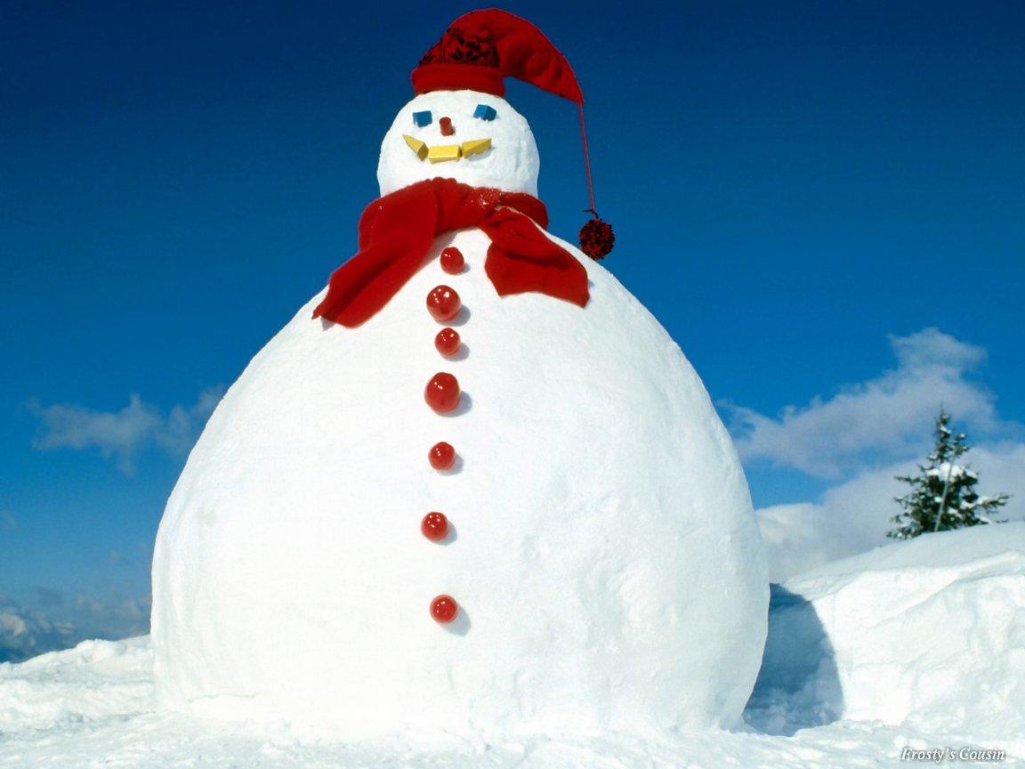 Real Snowman Wallpapers - Top Free Real Snowman Backgrounds ...