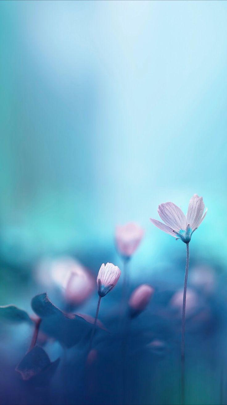 Abstract Spring Flowers Wallpapers - Top Free Abstract Spring Flowers ...