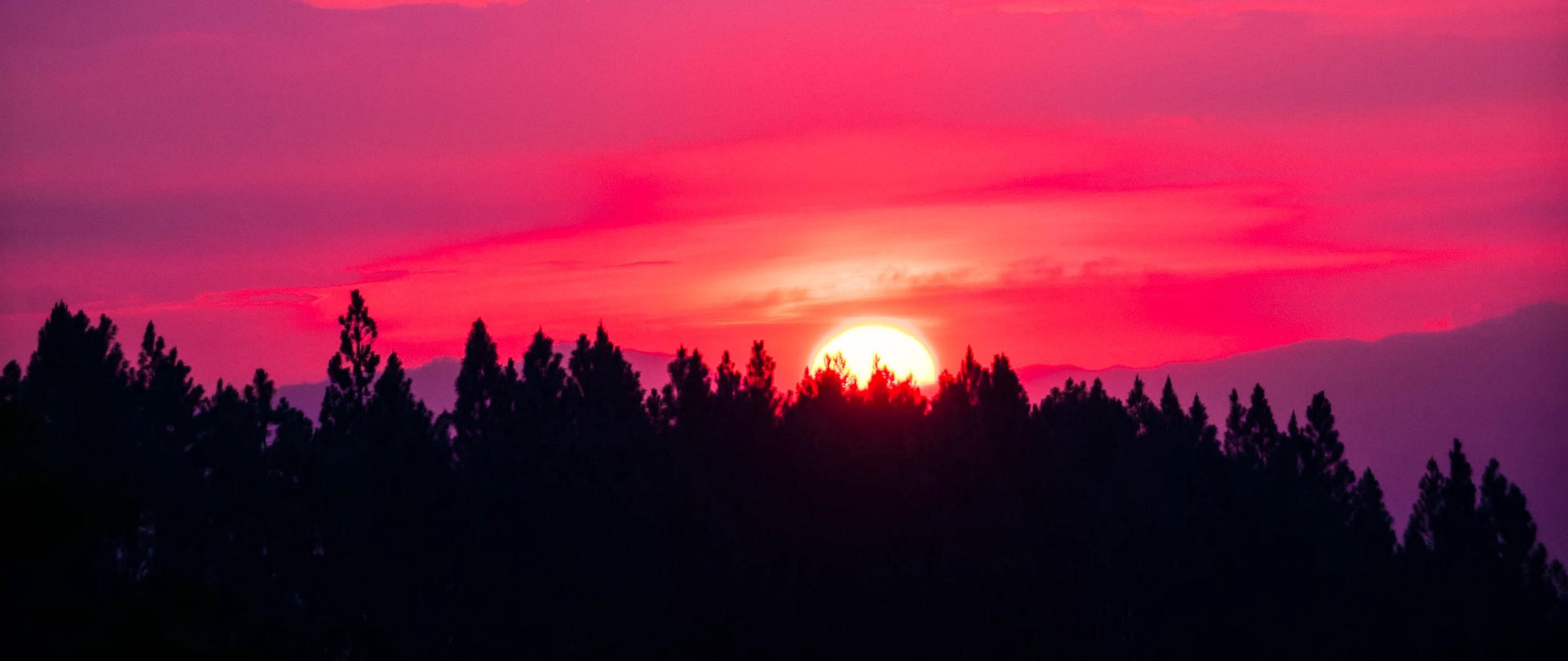 Pink Sky Sunset Wallpapers - Top Free Pink Sky Sunset Backgrounds ...