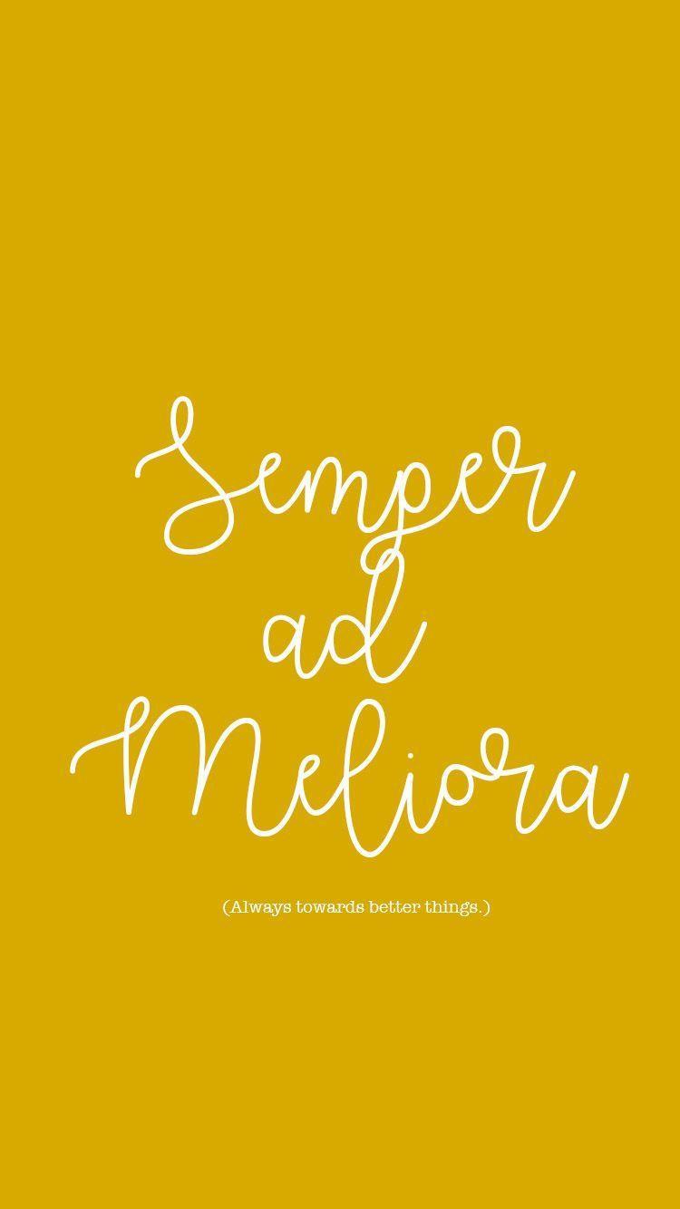 Latin Saying Wallpapers - Top Free Latin Saying Backgrounds ...