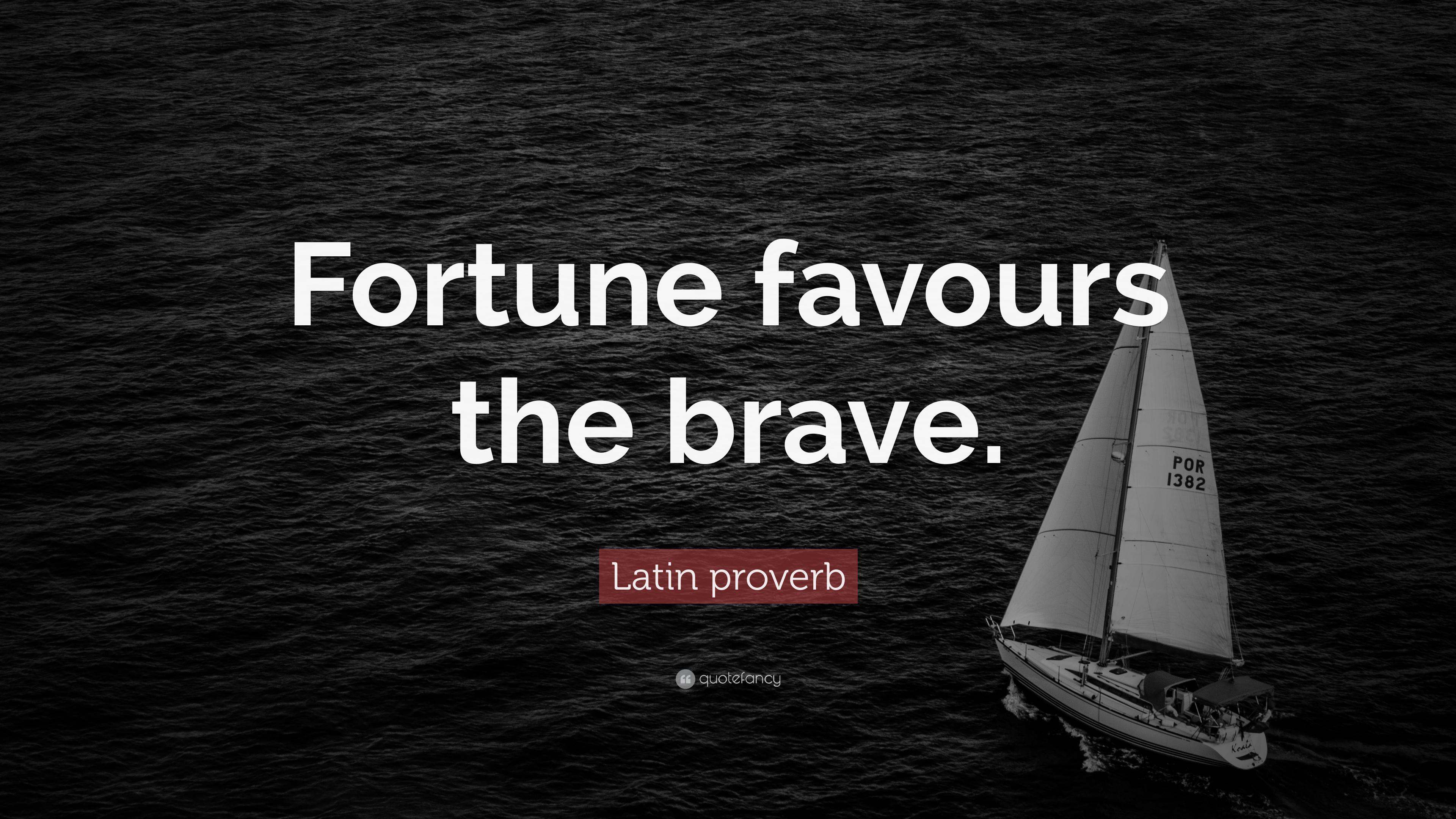 Latin Saying Wallpapers - Top Free Latin Saying Backgrounds ...