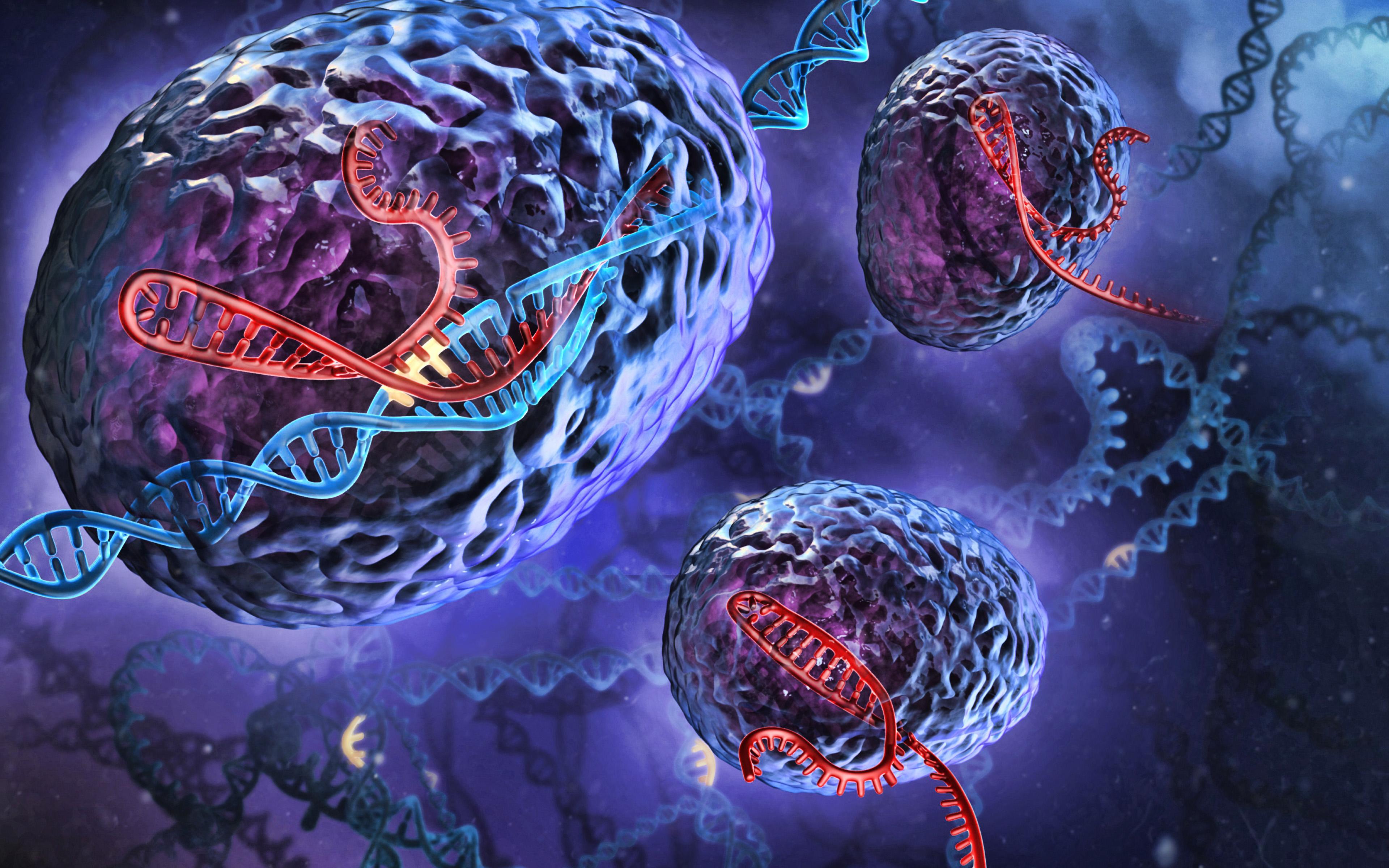 3D Artwork Wallpapers - Top Free 3D Artwork Backgrounds - WallpaperAccess