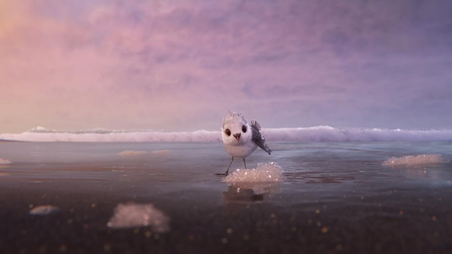 Piper Pixar Wallpapers - Top Free Piper Pixar Backgrounds - WallpaperAccess