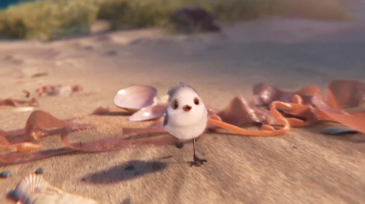 Piper Pixar Wallpapers - Top Free Piper Pixar Backgrounds - WallpaperAccess