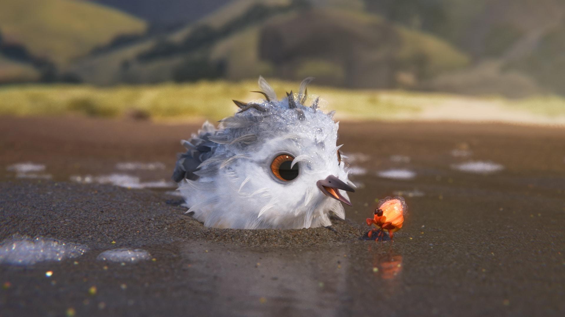 Piper Pixar Wallpapers - Top Free Piper Pixar Backgrounds - WallpaperAccess