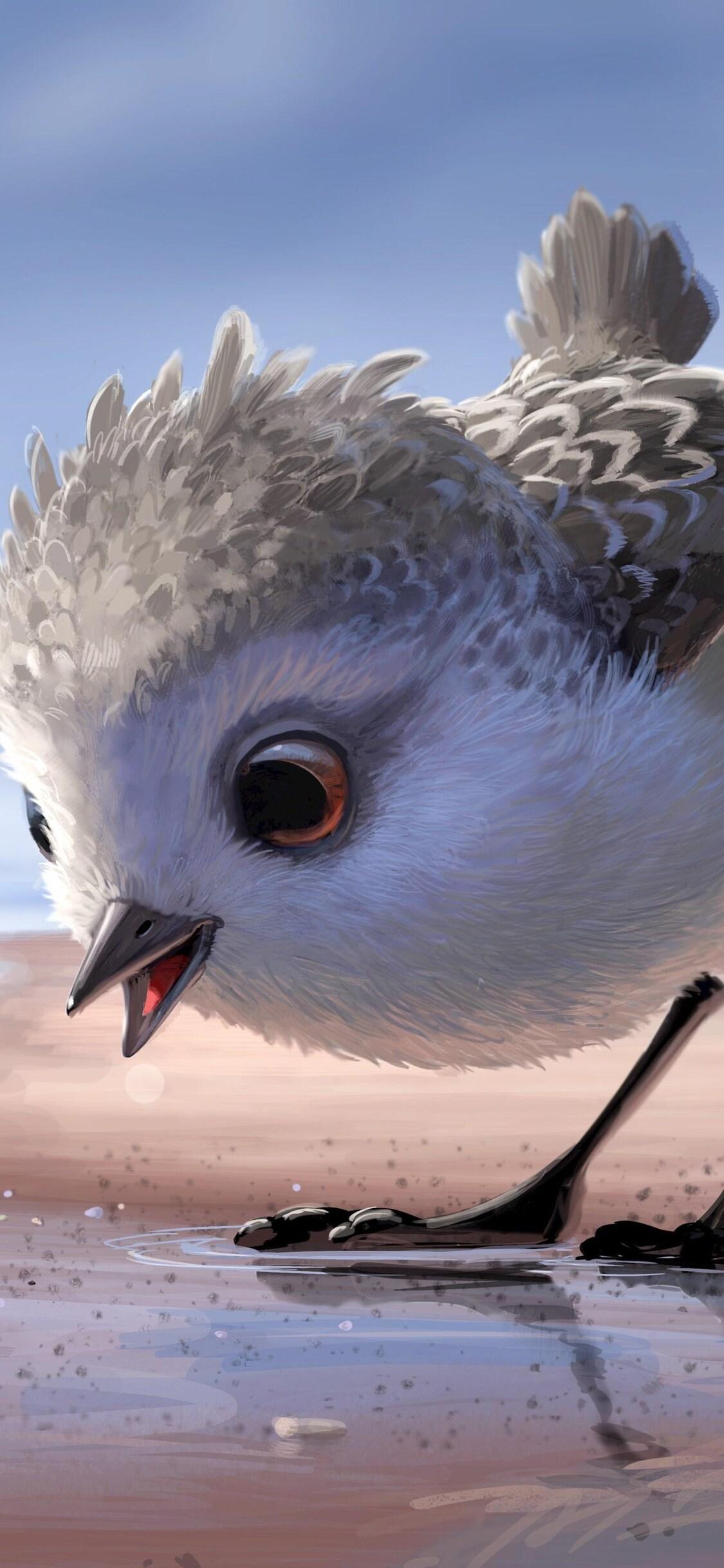 Piper Pixar Wallpapers - Top Free Piper Pixar Backgrounds - WallpaperAccess