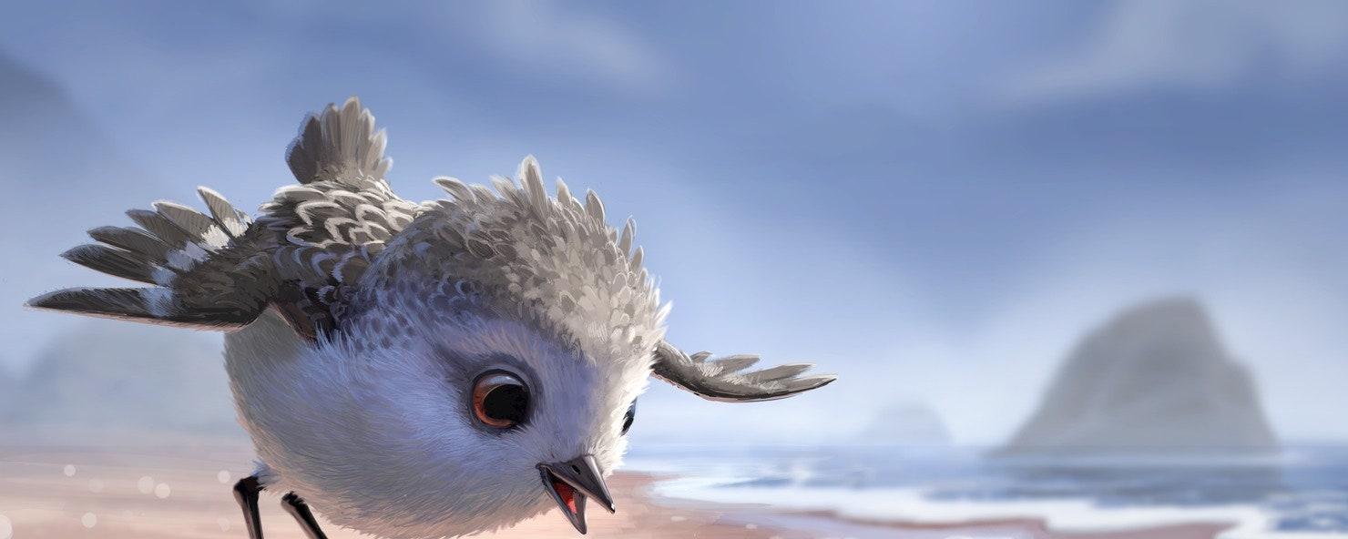 Piper Pixar Wallpapers - Top Free Piper Pixar Backgrounds - WallpaperAccess