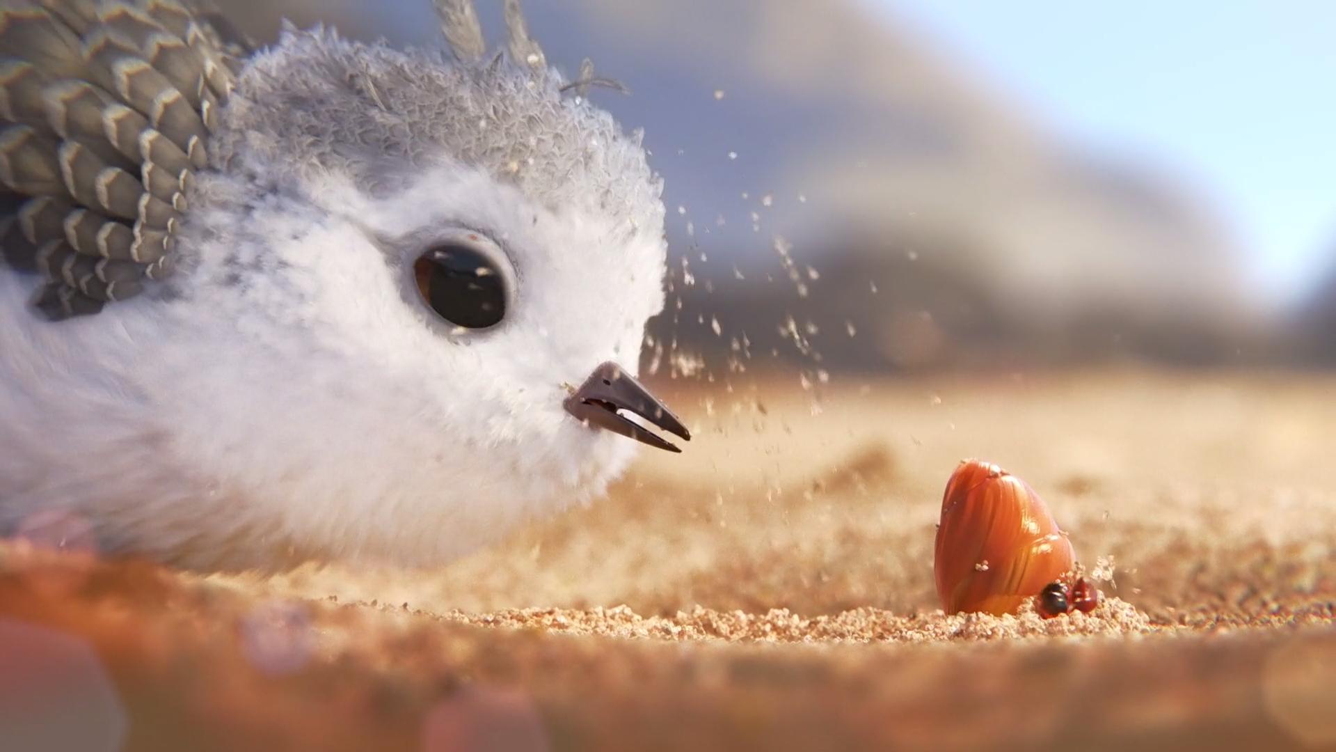 Piper Pixar Wallpapers - Top Free Piper Pixar Backgrounds - WallpaperAccess