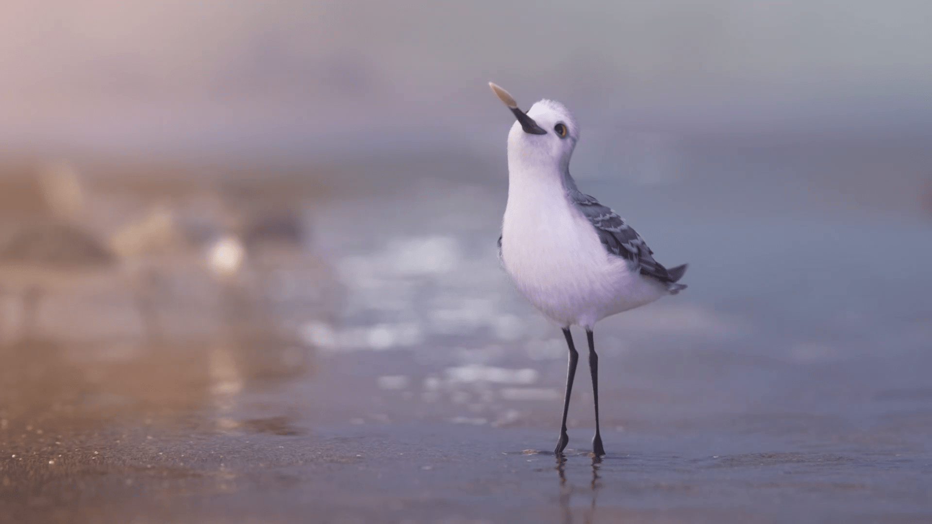 Piper Pixar Wallpapers - Top Free Piper Pixar Backgrounds - WallpaperAccess