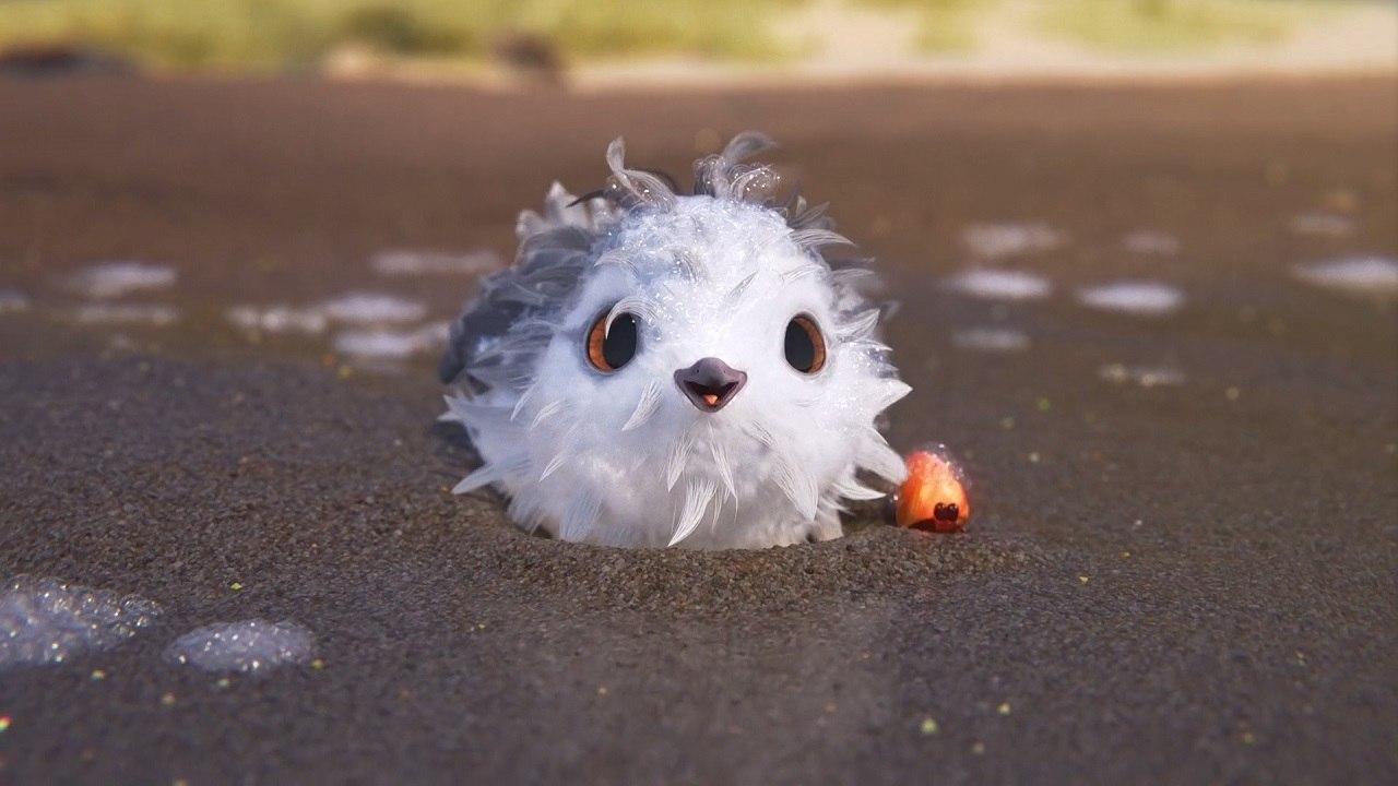 Piper Pixar Wallpapers - Top Free Piper Pixar Backgrounds - WallpaperAccess