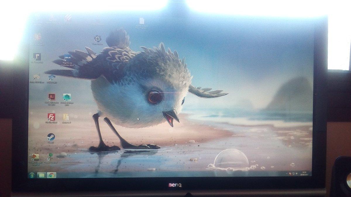 Piper Pixar Wallpapers - Top Free Piper Pixar Backgrounds - WallpaperAccess