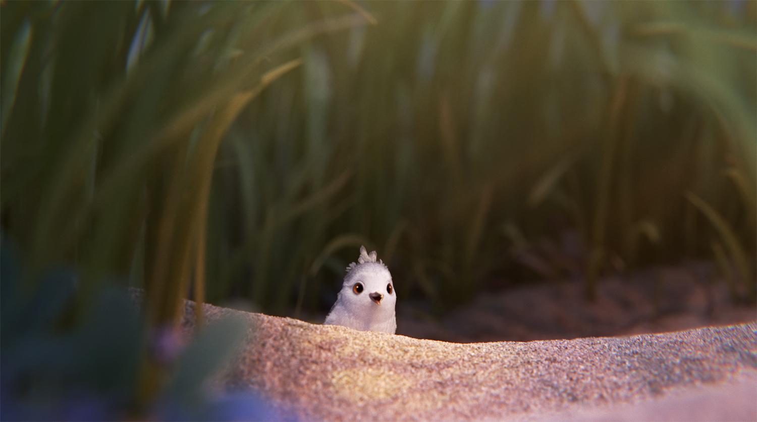 Piper Pixar Wallpapers - Top Free Piper Pixar Backgrounds - WallpaperAccess