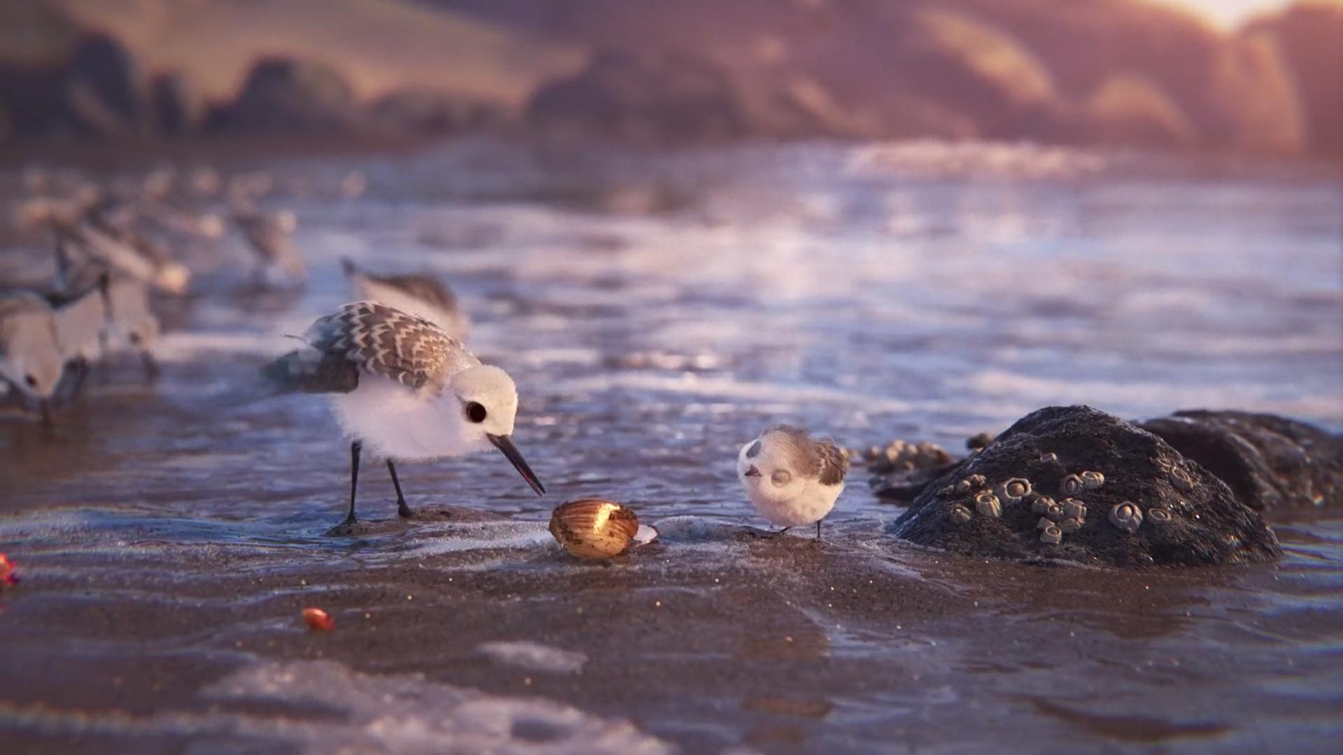 Piper Pixar Wallpapers - Top Free Piper Pixar Backgrounds - WallpaperAccess