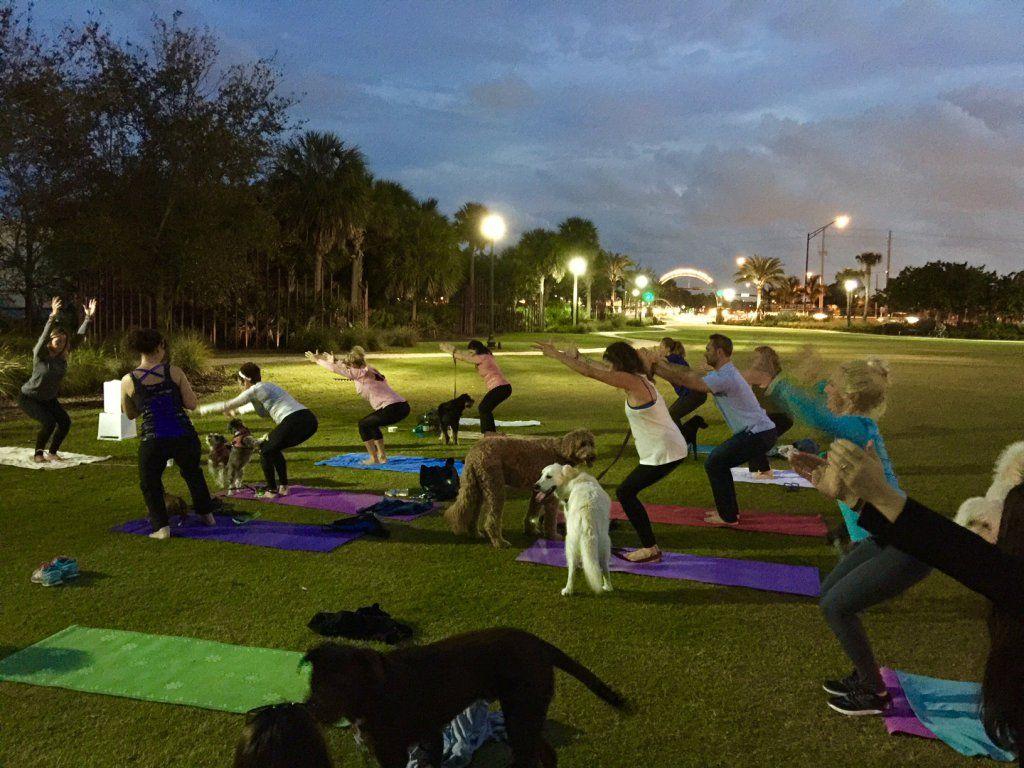 Zen Zone Wallpapers - Top Free Zen Zone Backgrounds - WallpaperAccess