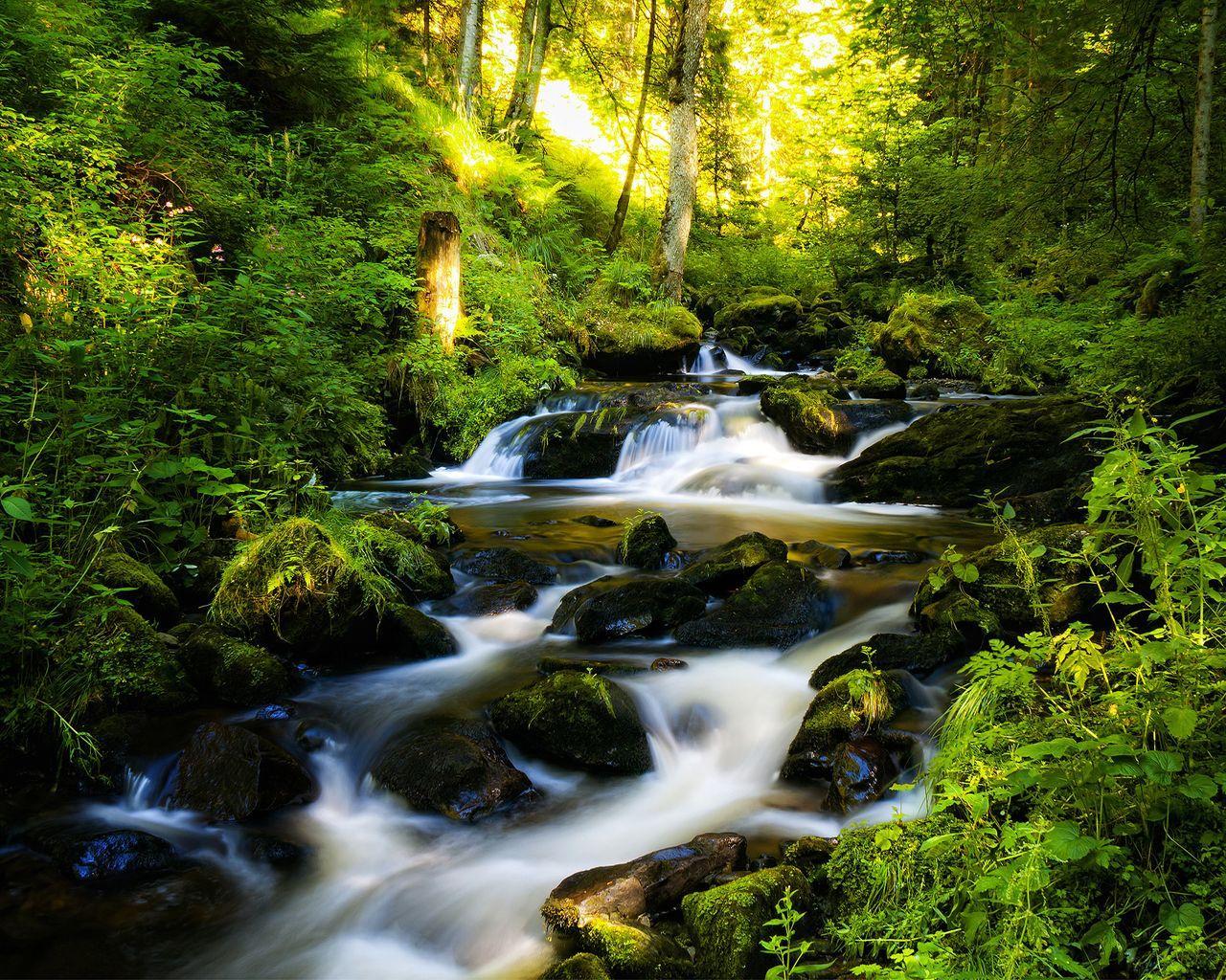 1280x1024 Nature Wallpapers - Top Free 1280x1024 Nature Backgrounds ...