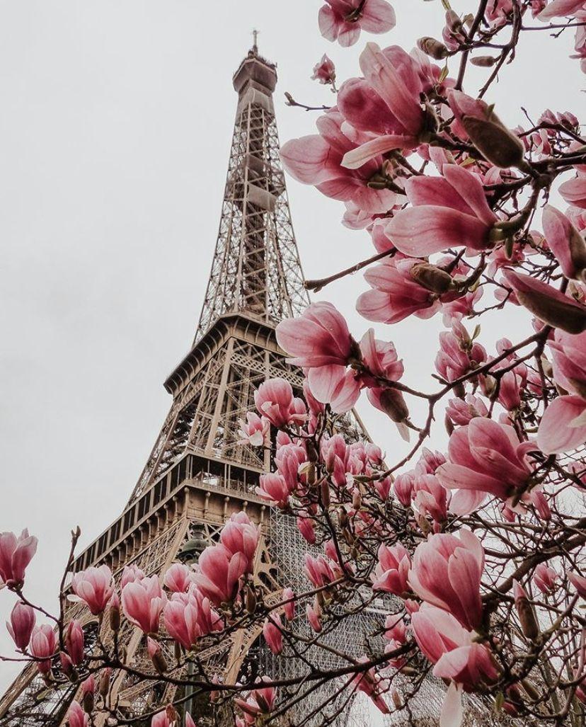 Paris in Spring Wallpapers - Top Free Paris in Spring Backgrounds ...