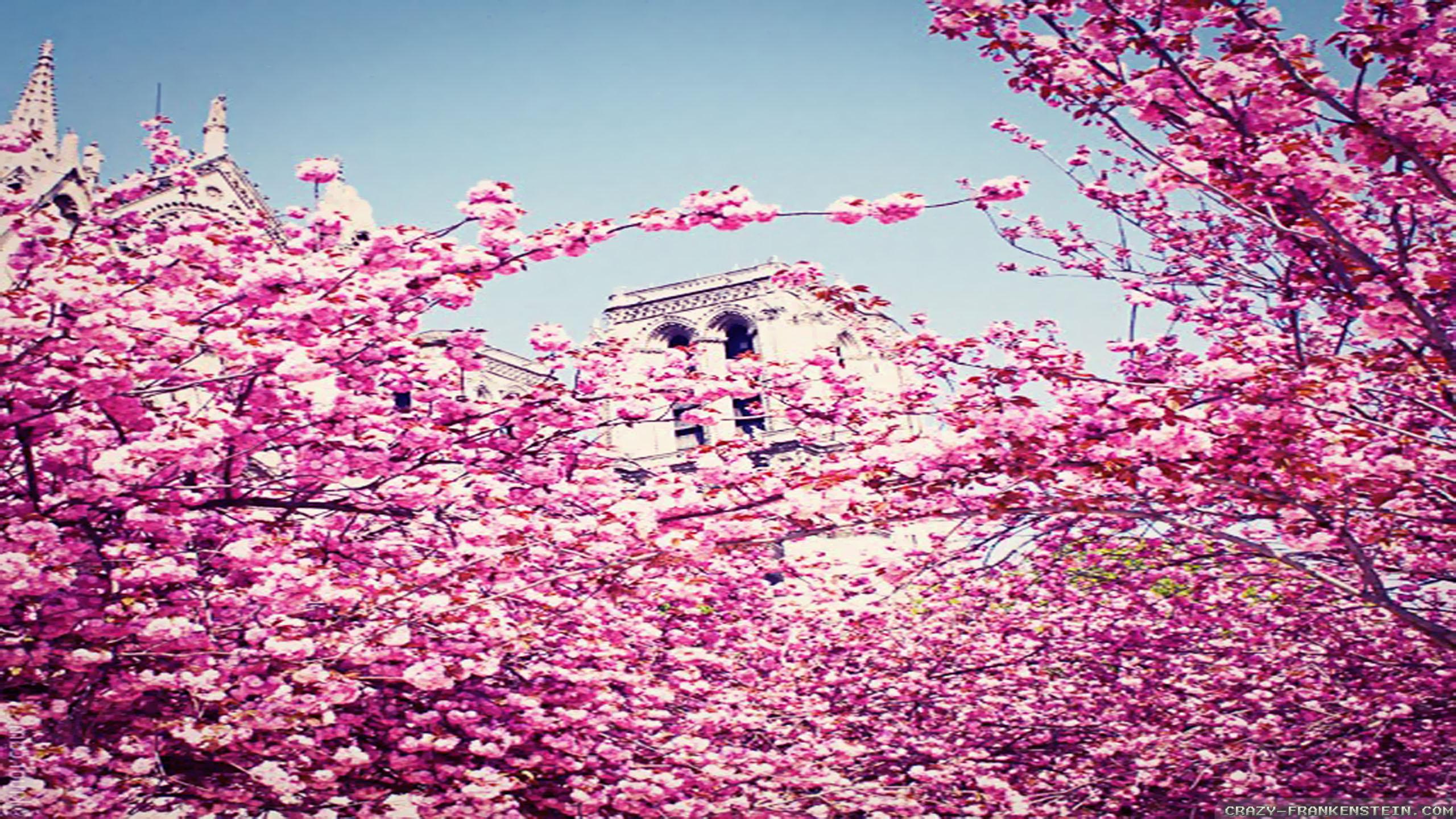 Paris in Spring Wallpapers - Top Free Paris in Spring Backgrounds ...