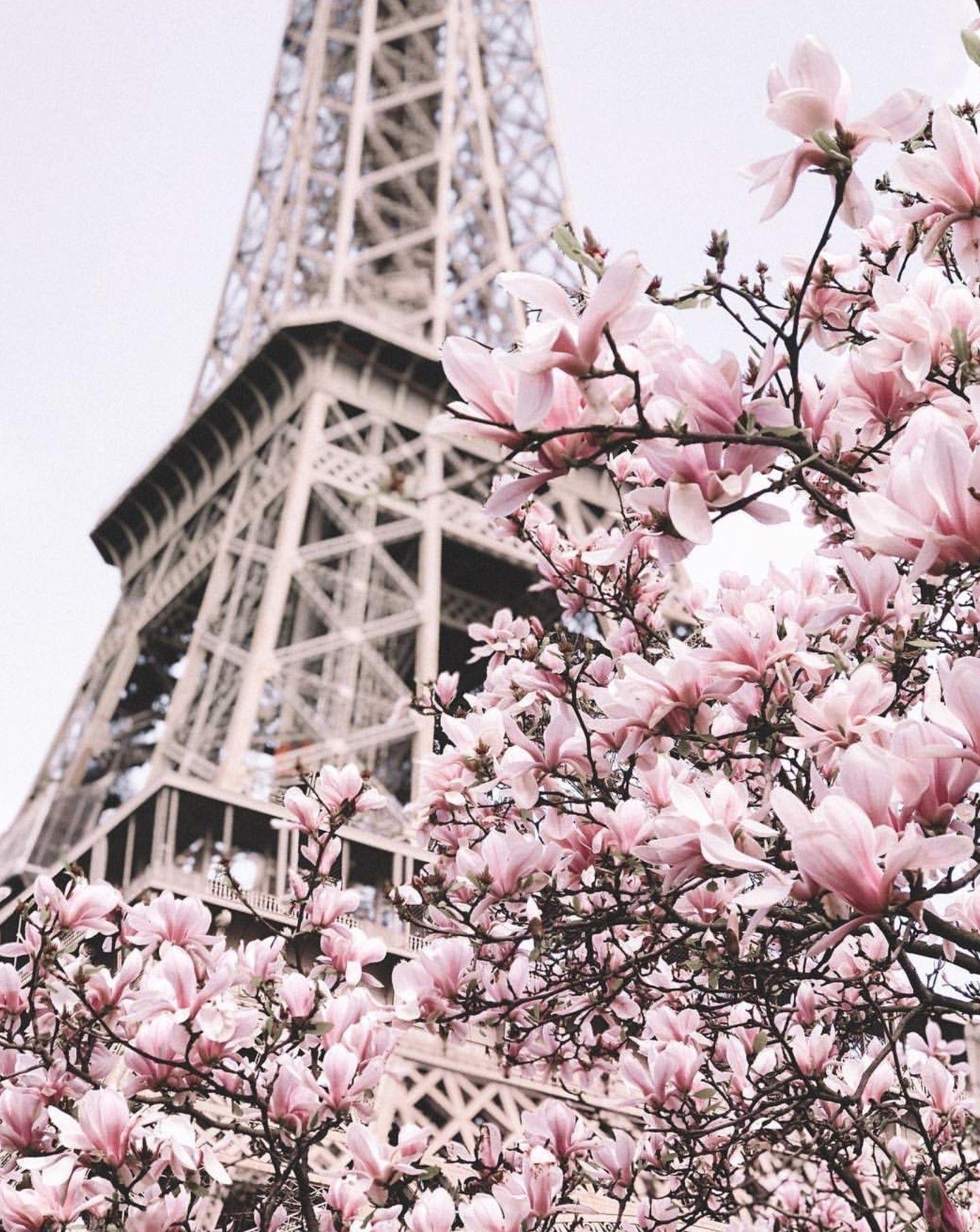 Paris in Spring Wallpapers - Top Free Paris in Spring Backgrounds ...