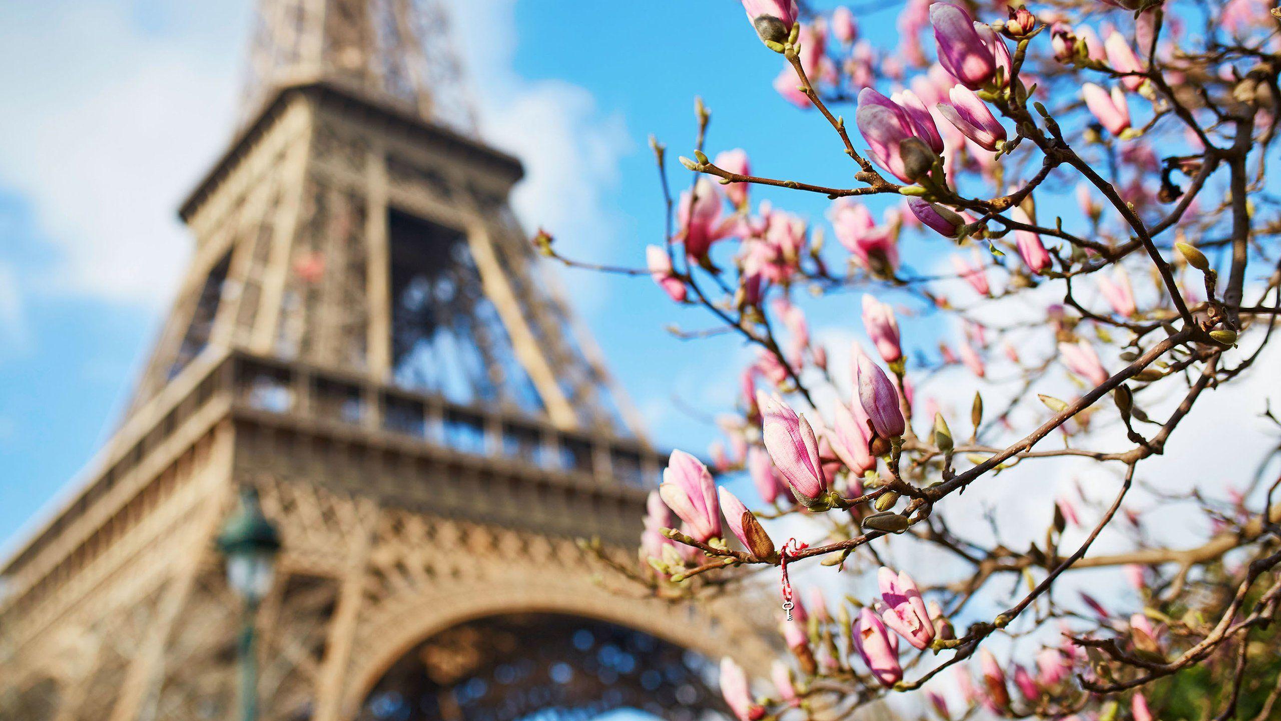 Paris in Spring Wallpapers - Top Free Paris in Spring Backgrounds ...