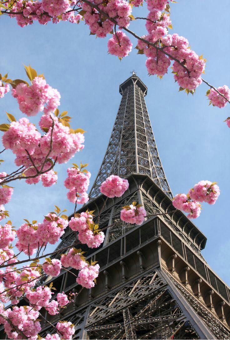 Paris in Spring Wallpapers - Top Free Paris in Spring Backgrounds ...