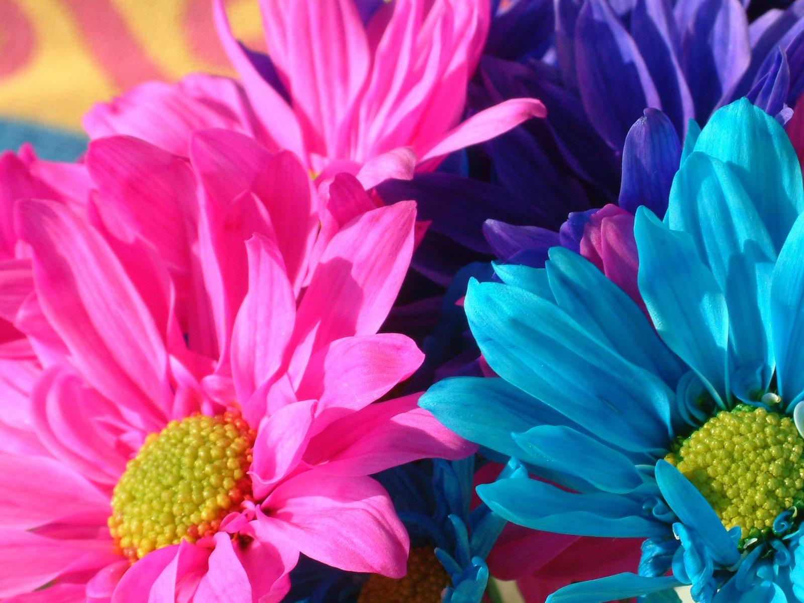 Psychedelic Flowers Wallpapers - Top Free Psychedelic Flowers ...