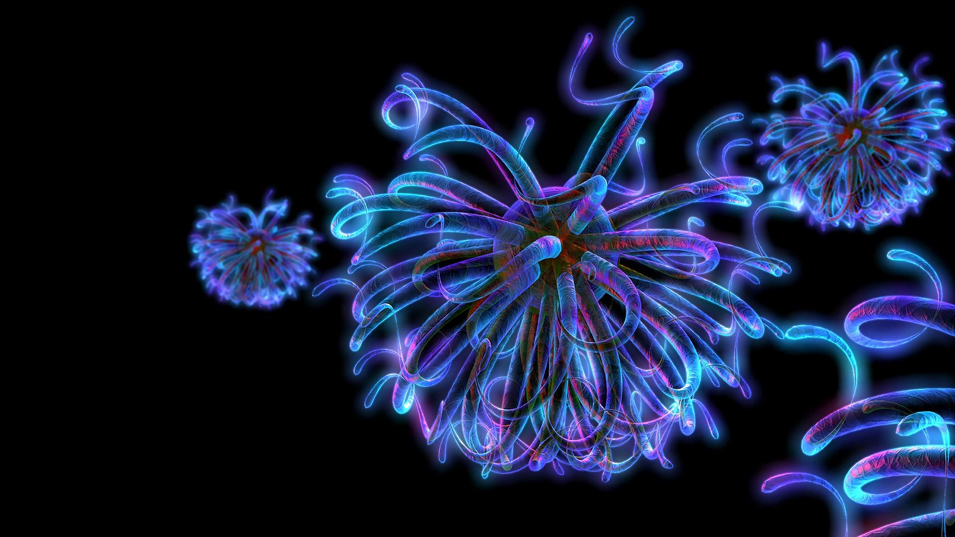 Psychedelic Flowers Wallpapers - Top Free Psychedelic Flowers ...