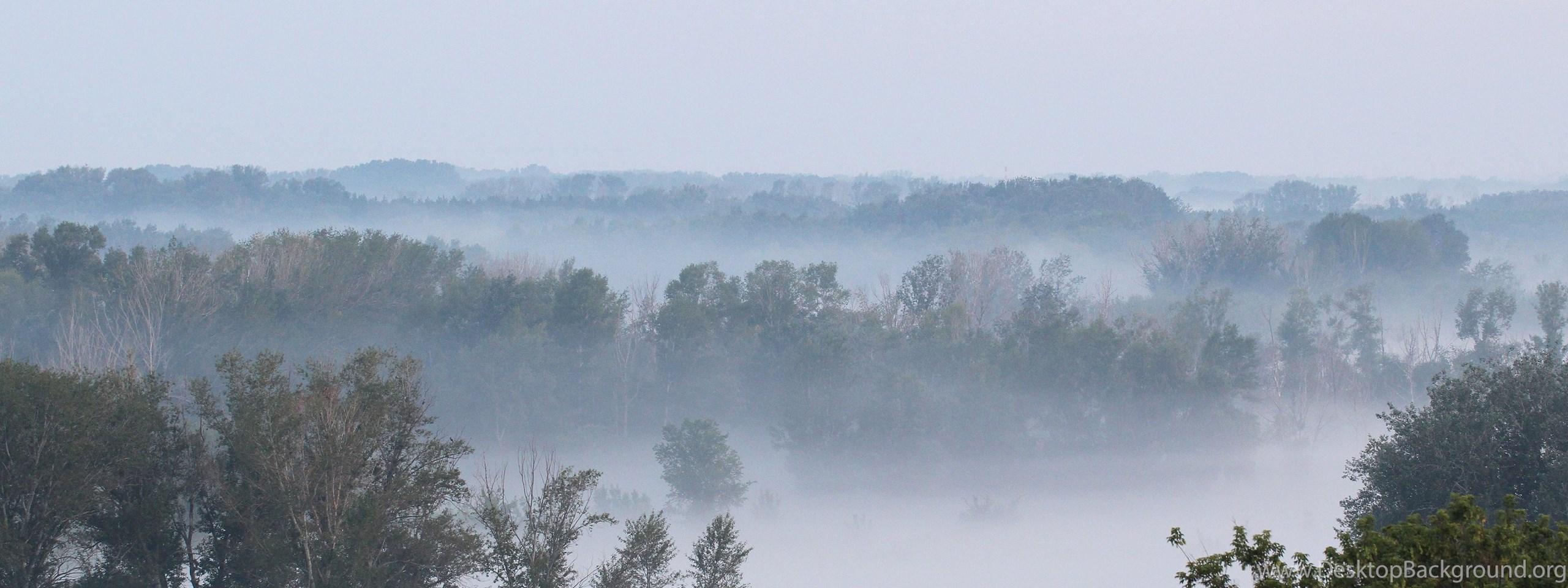 Minnesota Forest Wallpapers - Top Free Minnesota Forest Backgrounds ...