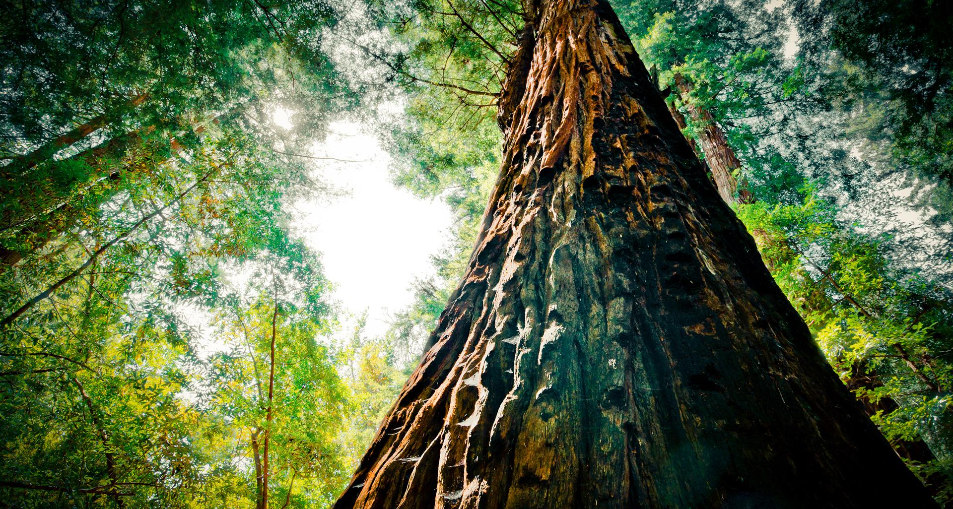 Extreme Nature Wallpapers - Top Free Extreme Nature Backgrounds ...