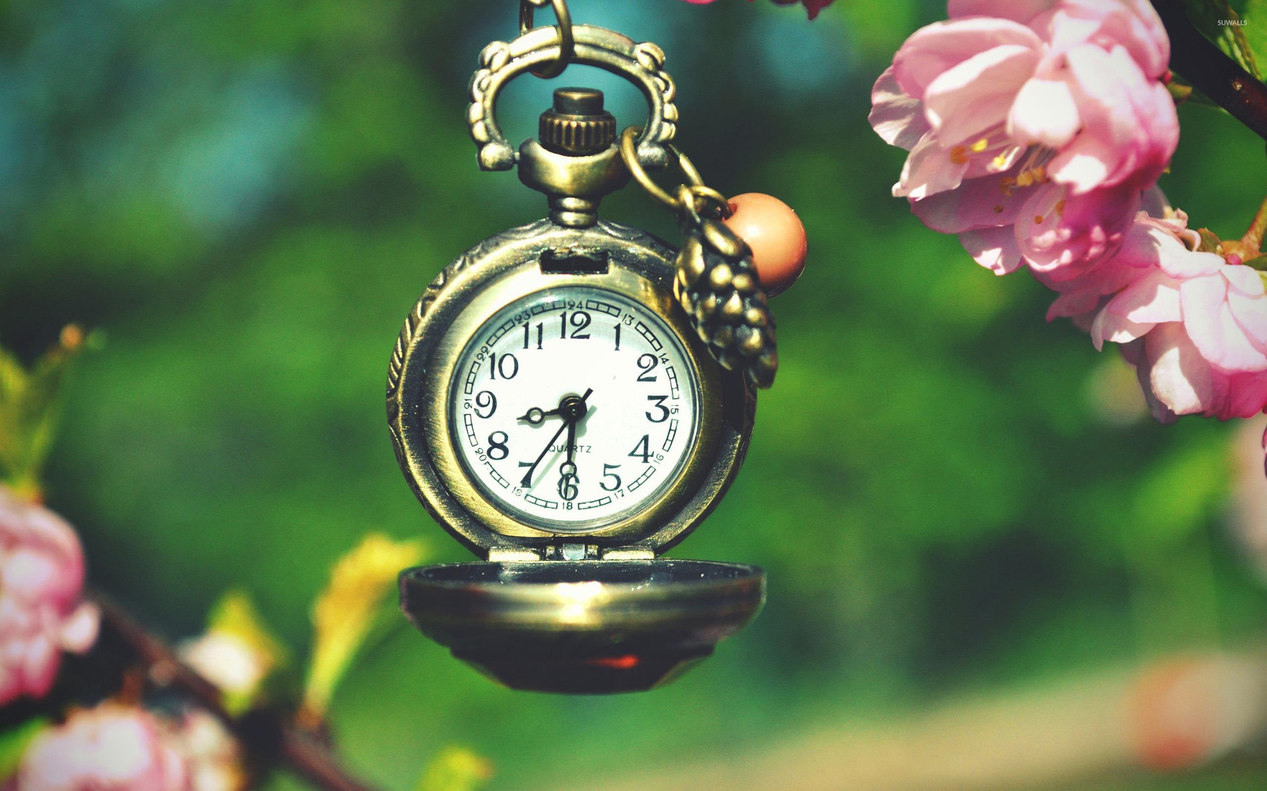 Beautiful Watch Wallpapers - Top Free Beautiful Watch Backgrounds ...