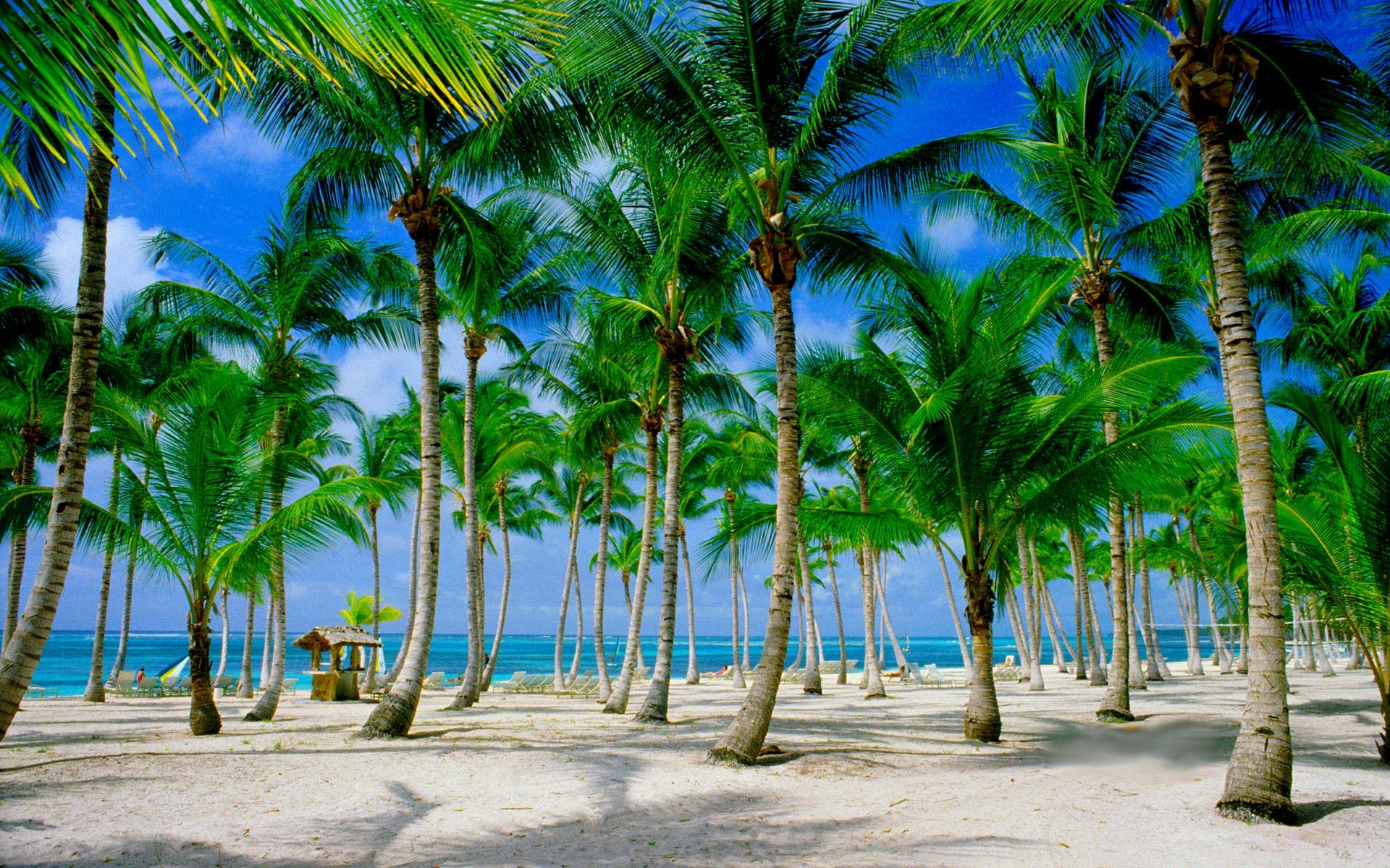 Beautiful Dominican Republic Wallpapers - Top Free Beautiful Dominican ...