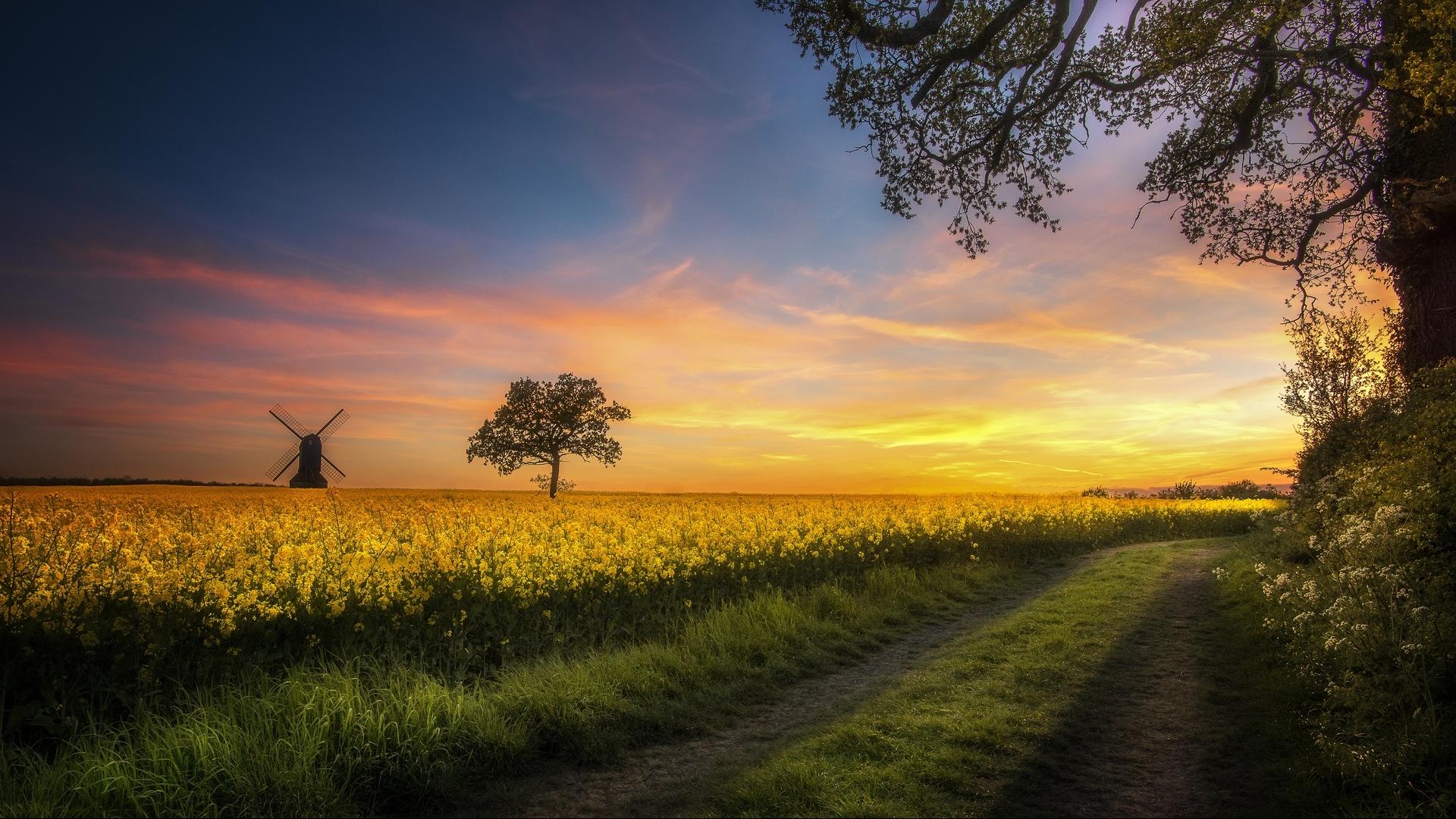 Country Field Wallpapers - Top Free Country Field Backgrounds ...