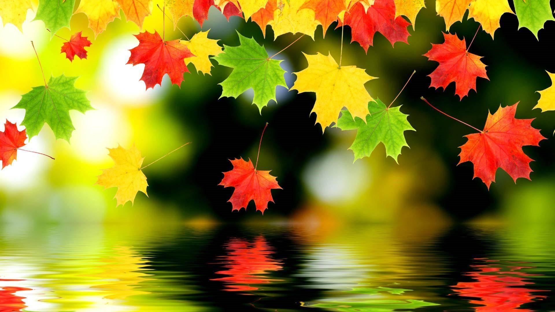 Cute Fall Computer Wallpapers - Top Free Cute Fall Computer Backgrounds ...