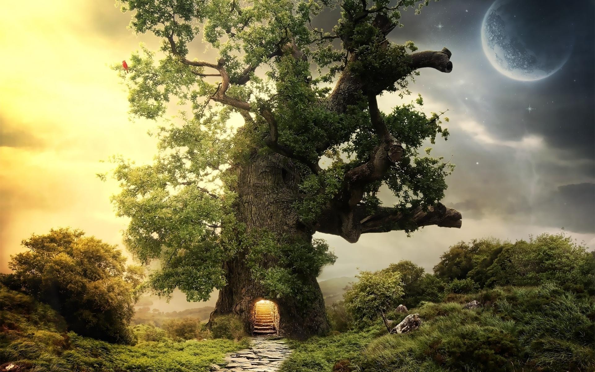 Fantasy Tree Wallpapers - Top Free Fantasy Tree Backgrounds ...