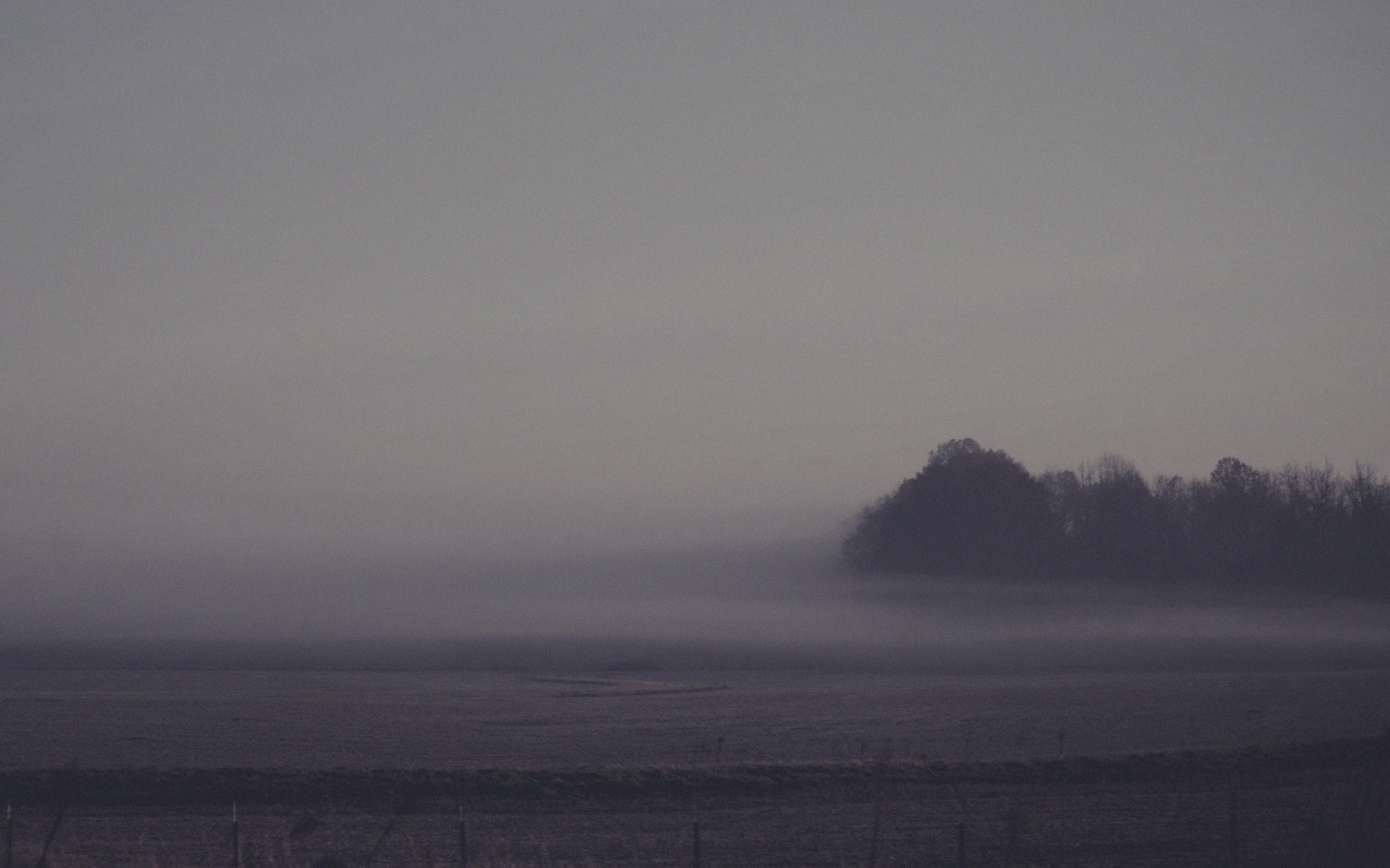 Foggy Nature Wallpapers - Top Free Foggy Nature Backgrounds ...