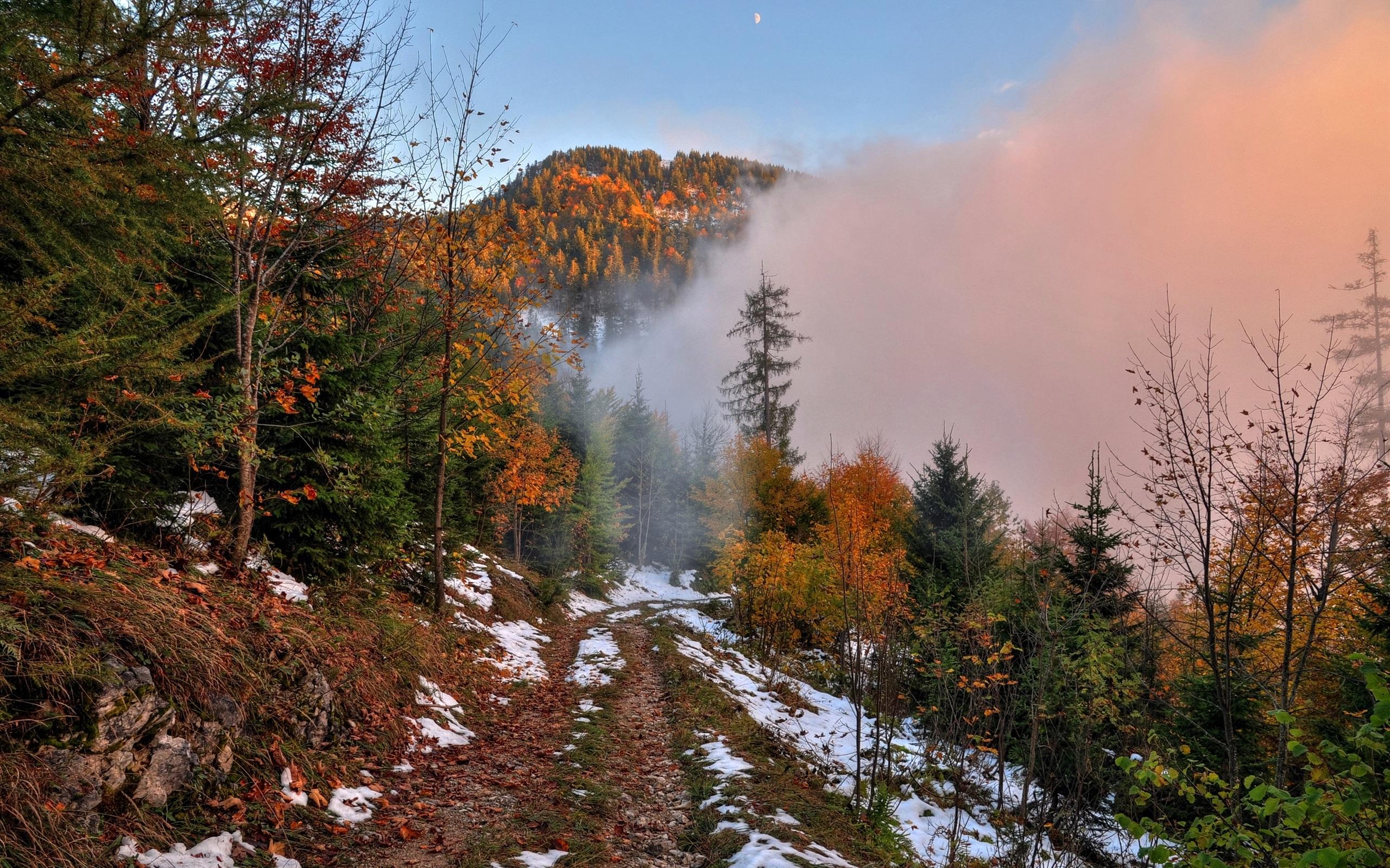 Foggy Fall Wallpapers - Top Free Foggy Fall Backgrounds - WallpaperAccess