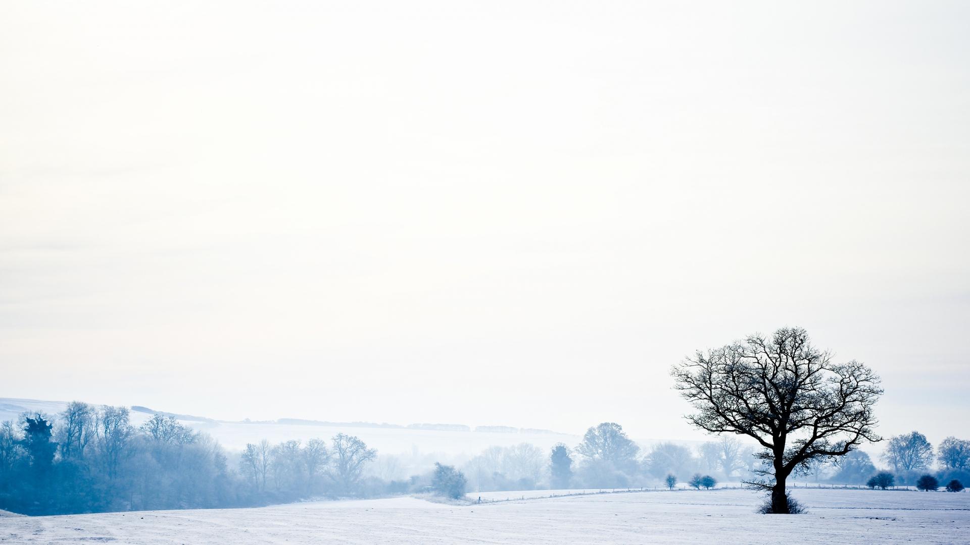 Alone in Snow Wallpapers - Top Free Alone in Snow Backgrounds ...