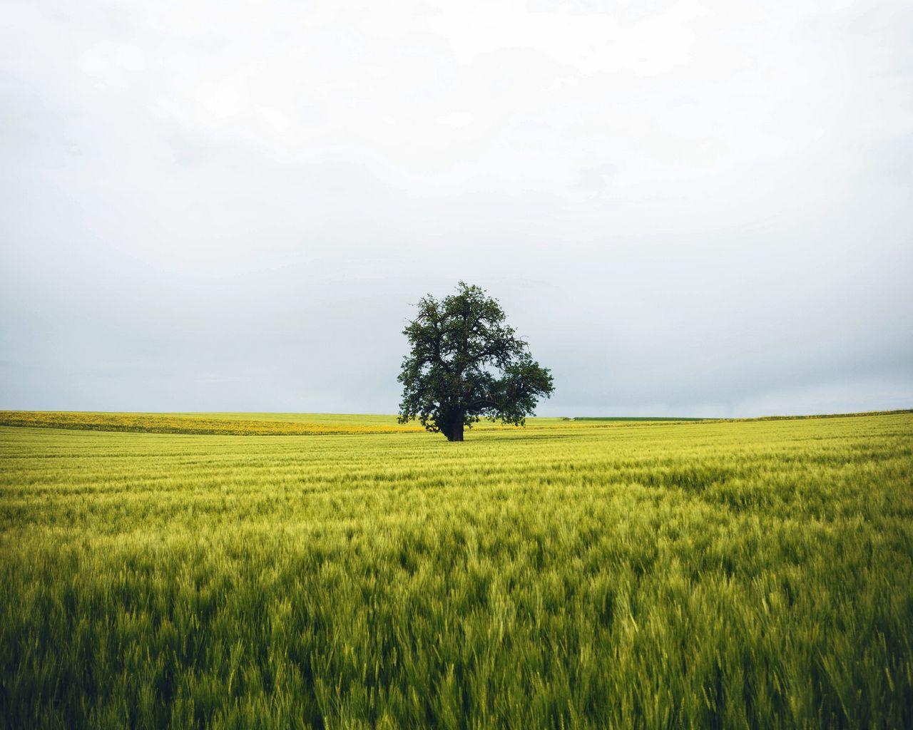 Lonely Landscape Wallpapers - Top Free Lonely Landscape Backgrounds ...